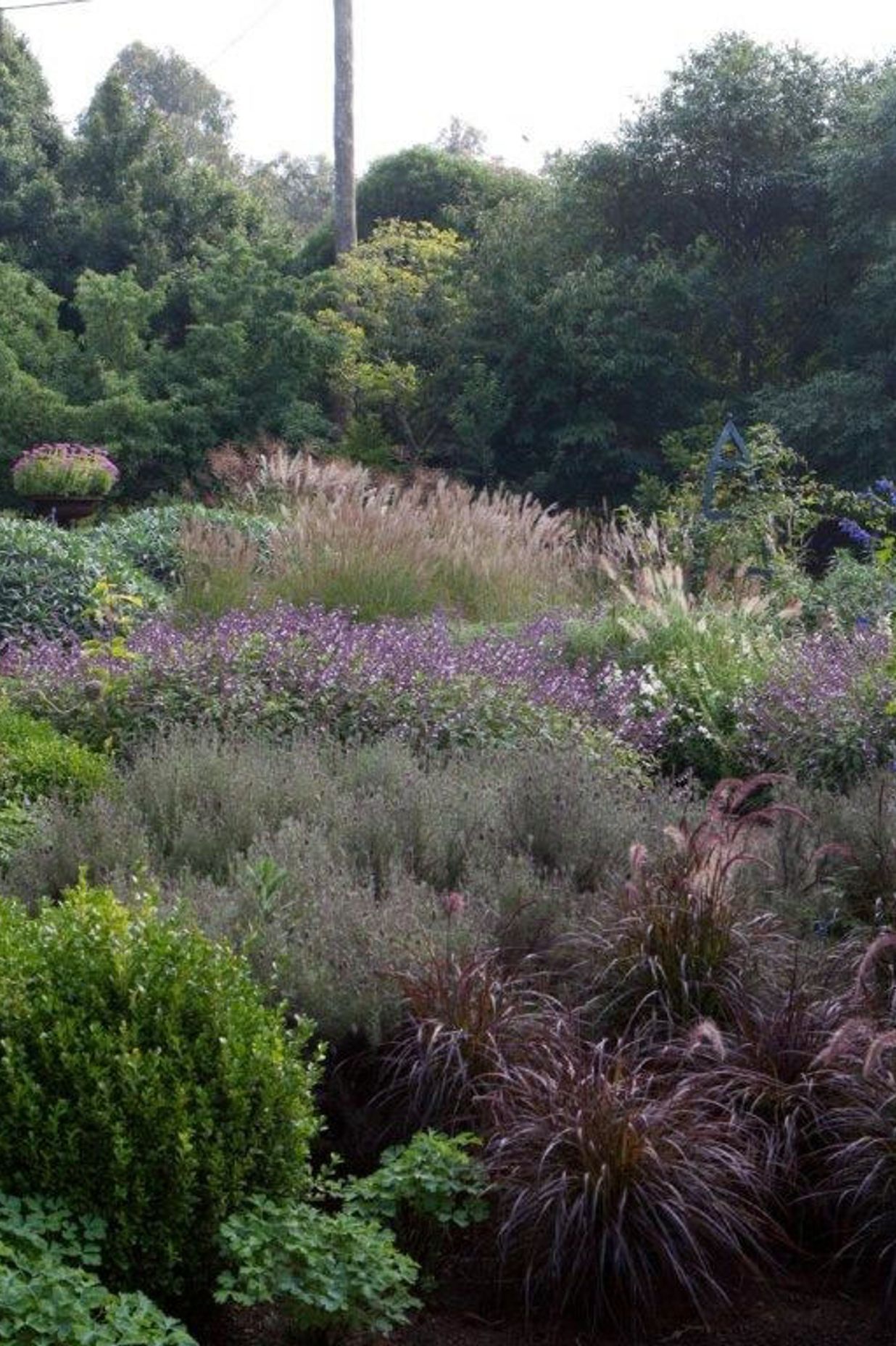 Robertson by Myles Baldwin Design | ArchiPro AU