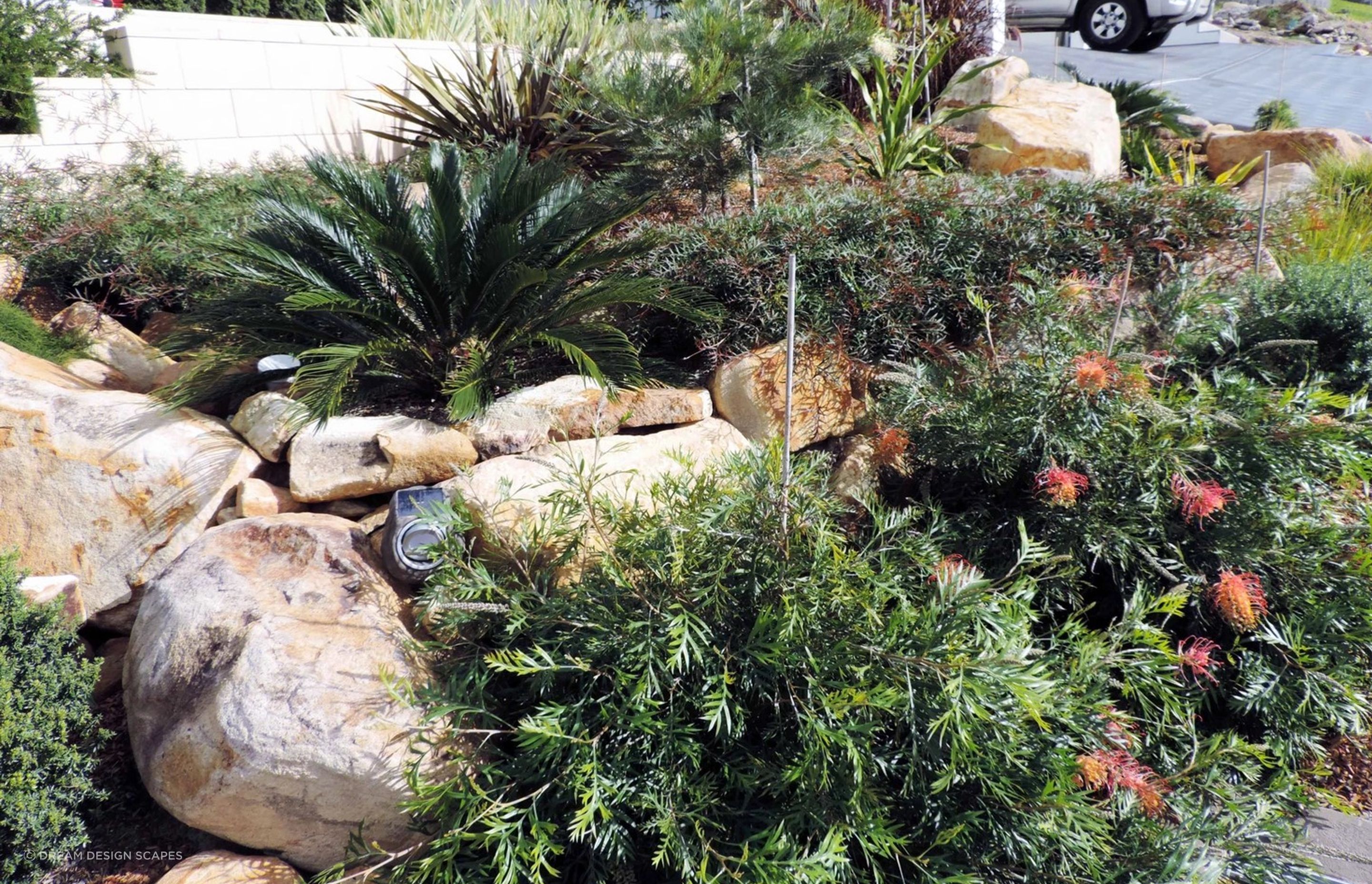 Contemporary Native Garden by Dream Design Scapes | ArchiPro AU