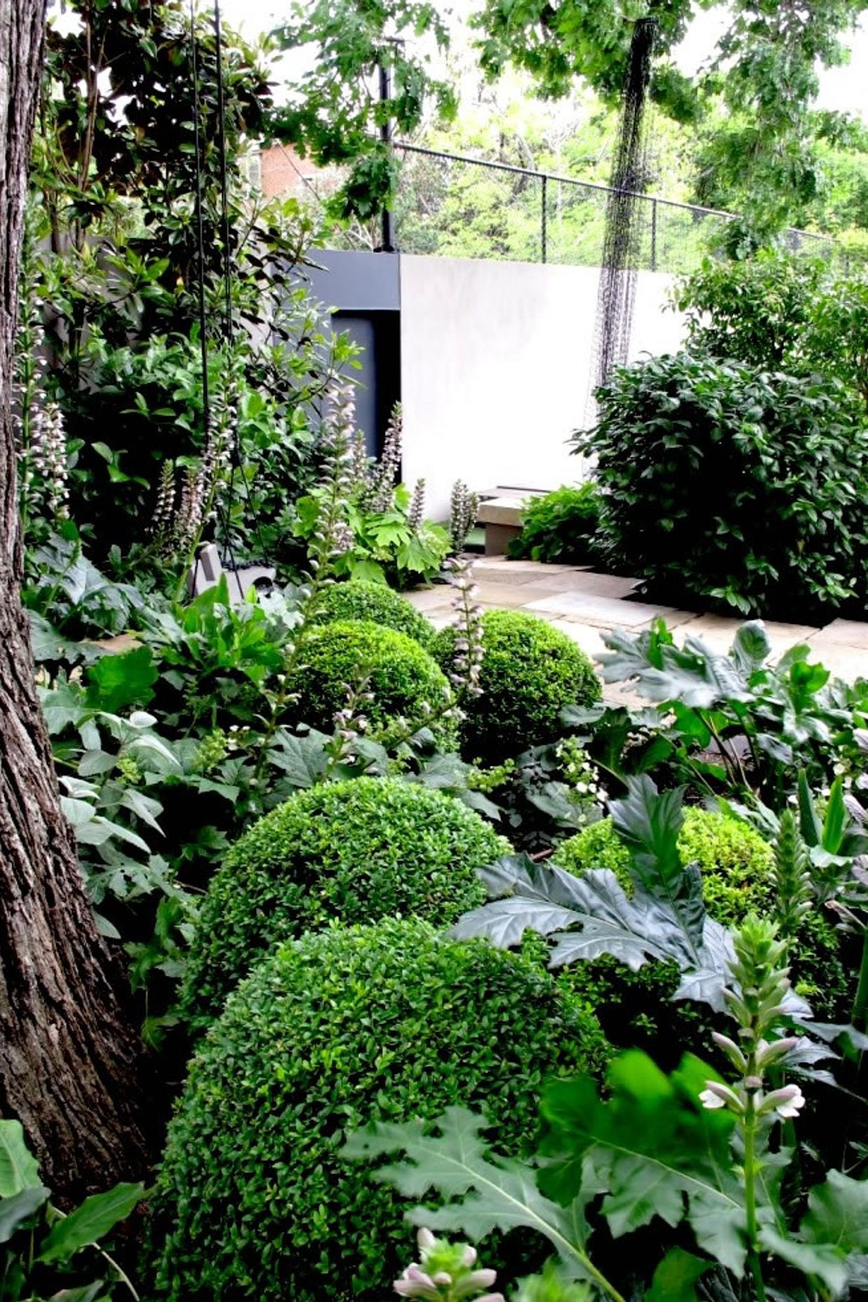 South Yarra by Myles Baldwin Design | ArchiPro AU