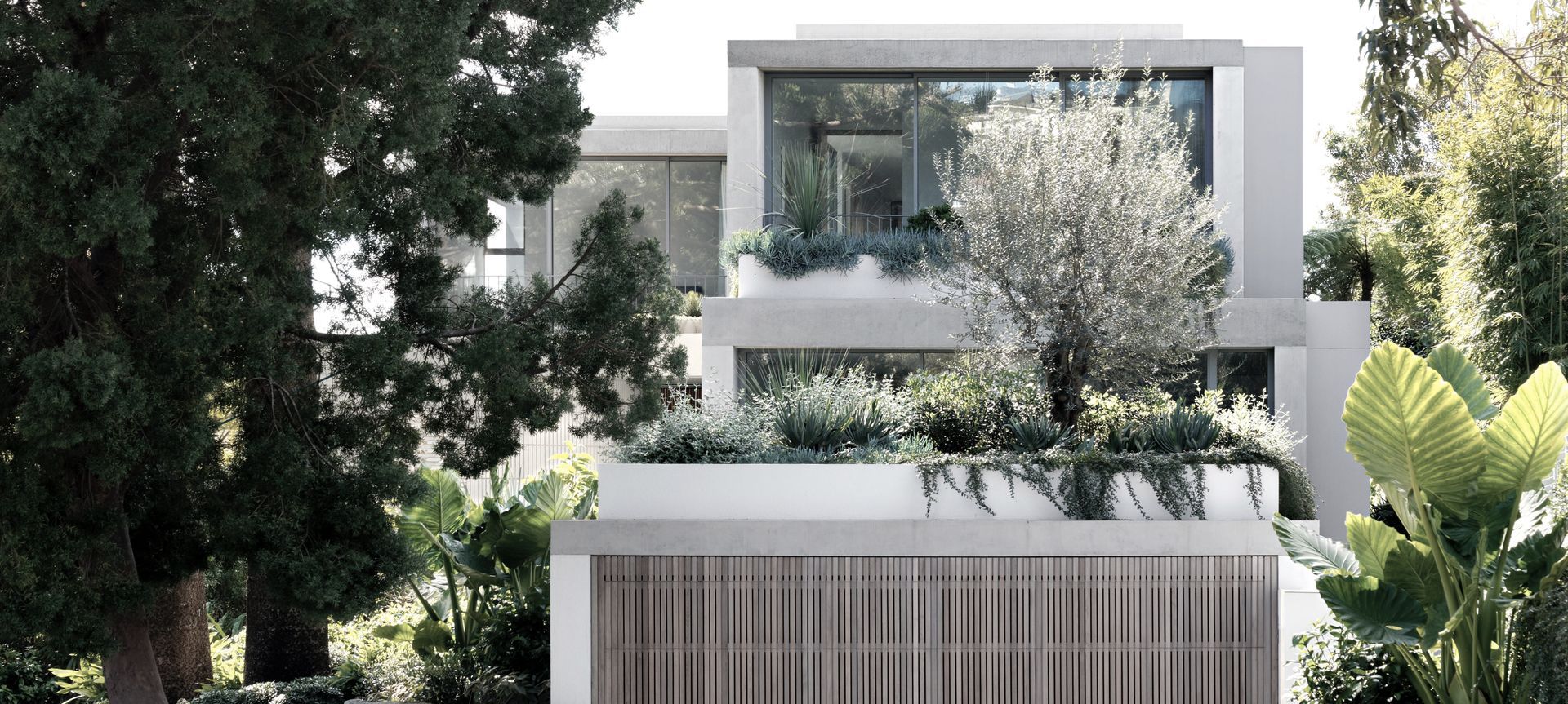 Bellevue Hill - 2 by Myles Baldwin Design | ArchiPro AU