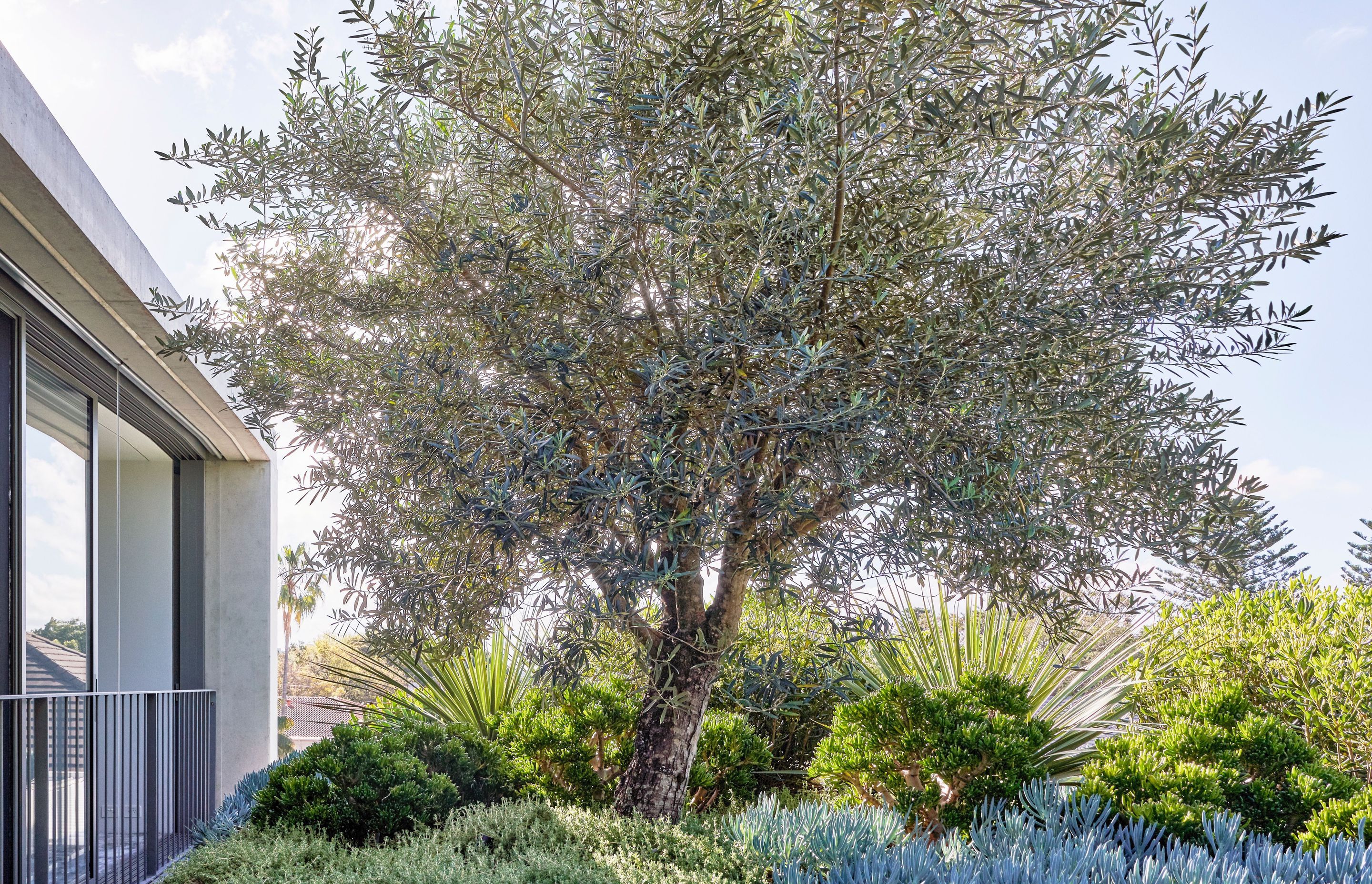 Bellevue Hill - 2 by Myles Baldwin Design | ArchiPro AU