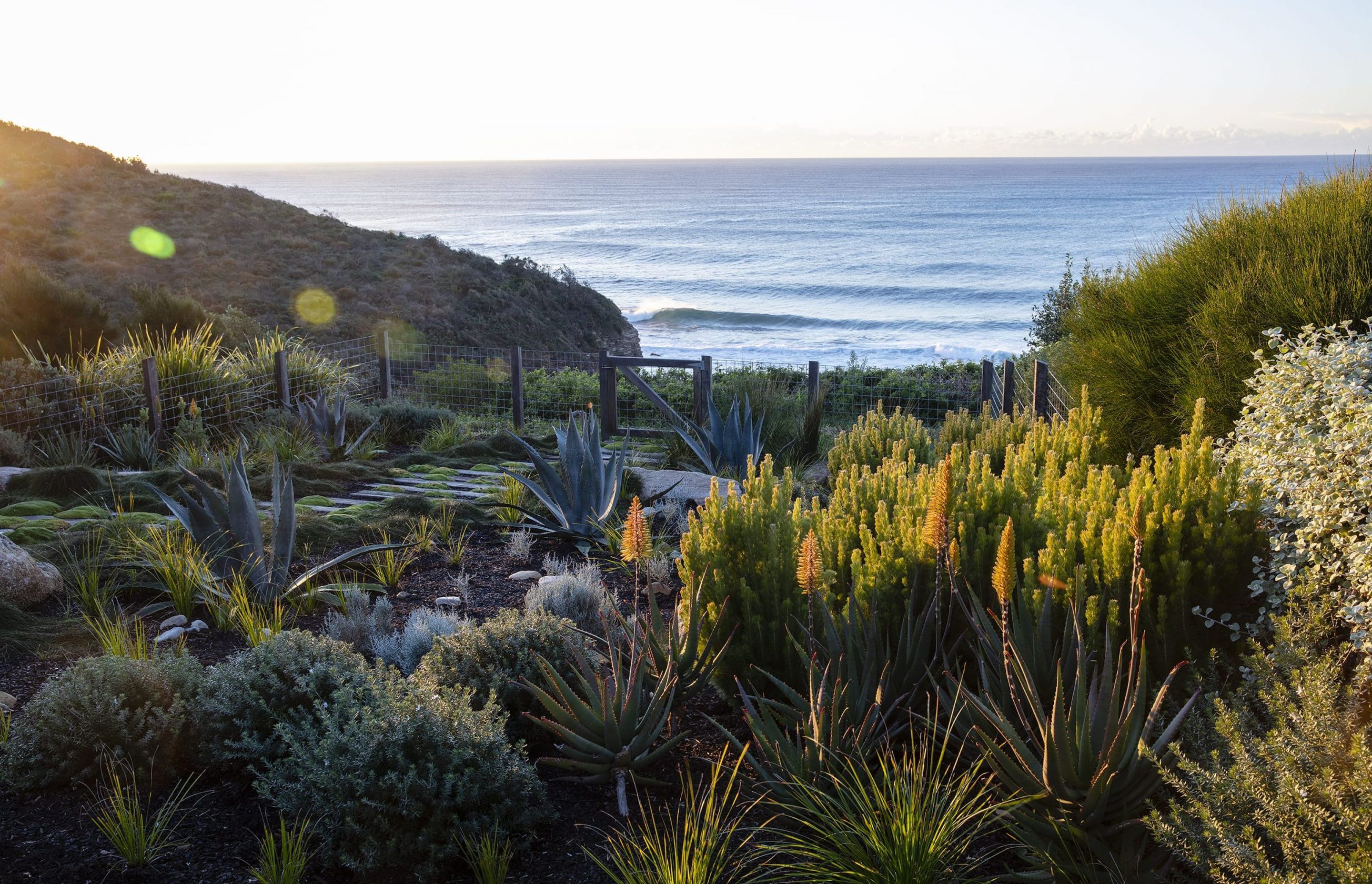 Turimetta Beach by Landart | ArchiPro AU