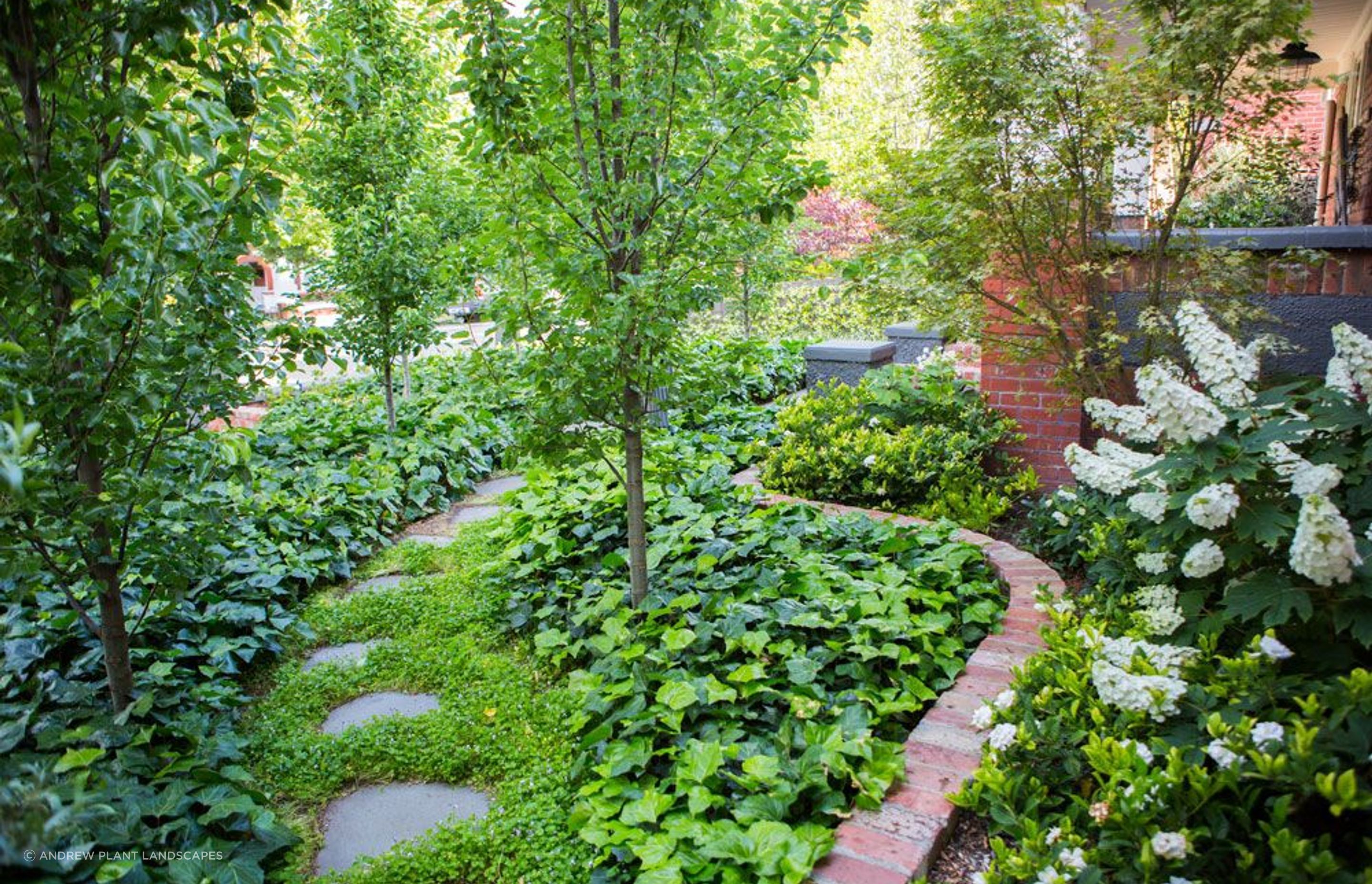 Malvern Two by Andrew Plant Landscapes | ArchiPro AU