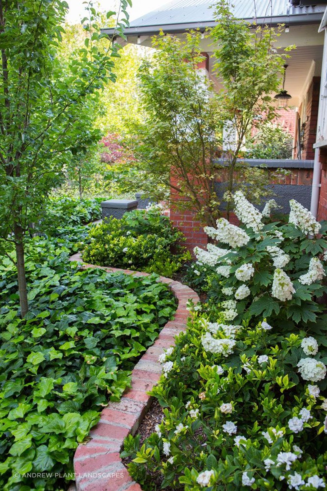 Malvern Two by Andrew Plant Landscapes | ArchiPro AU