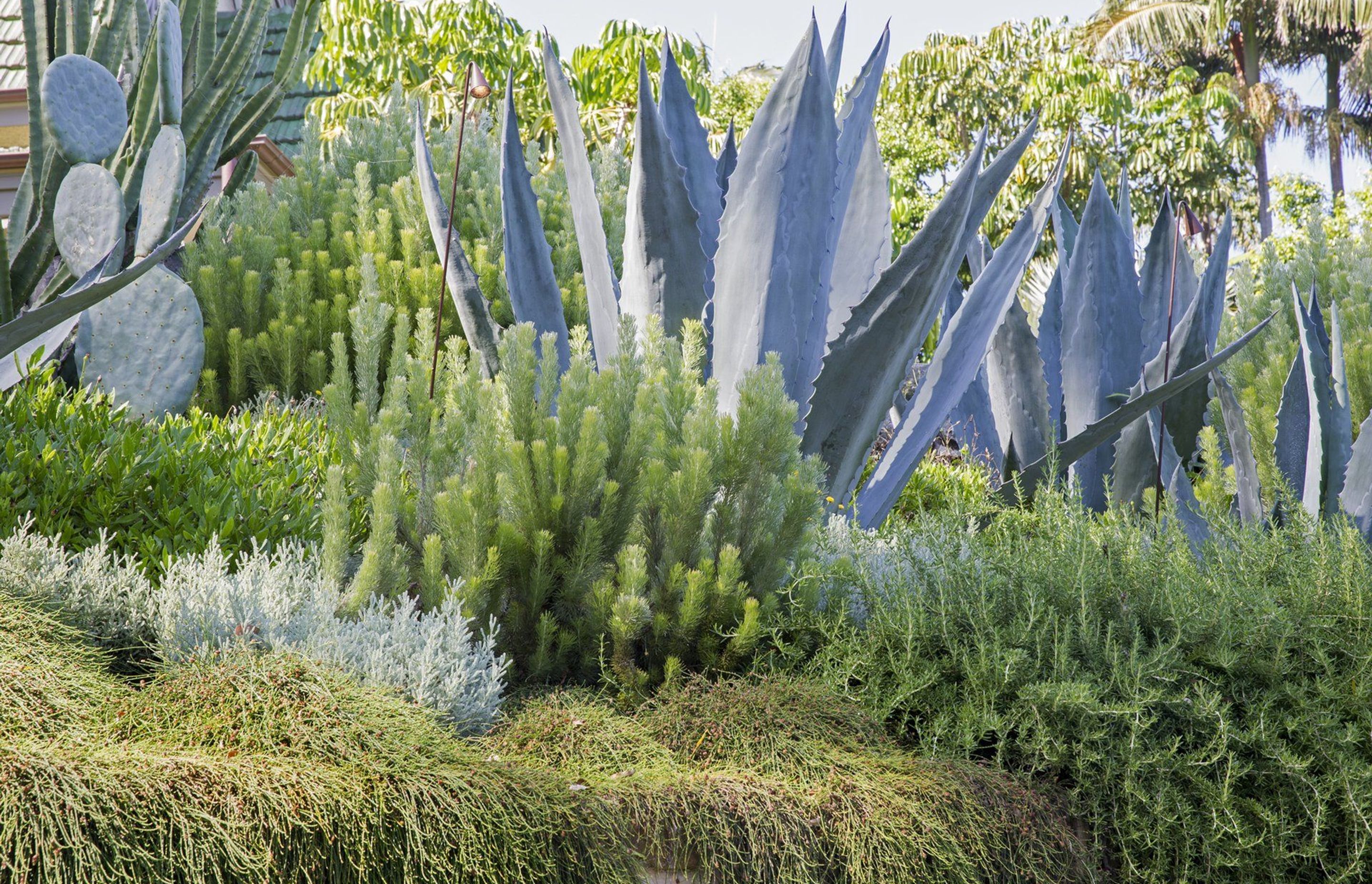 An Entertainer's Garden by Bates Landscape Construction | ArchiPro AU