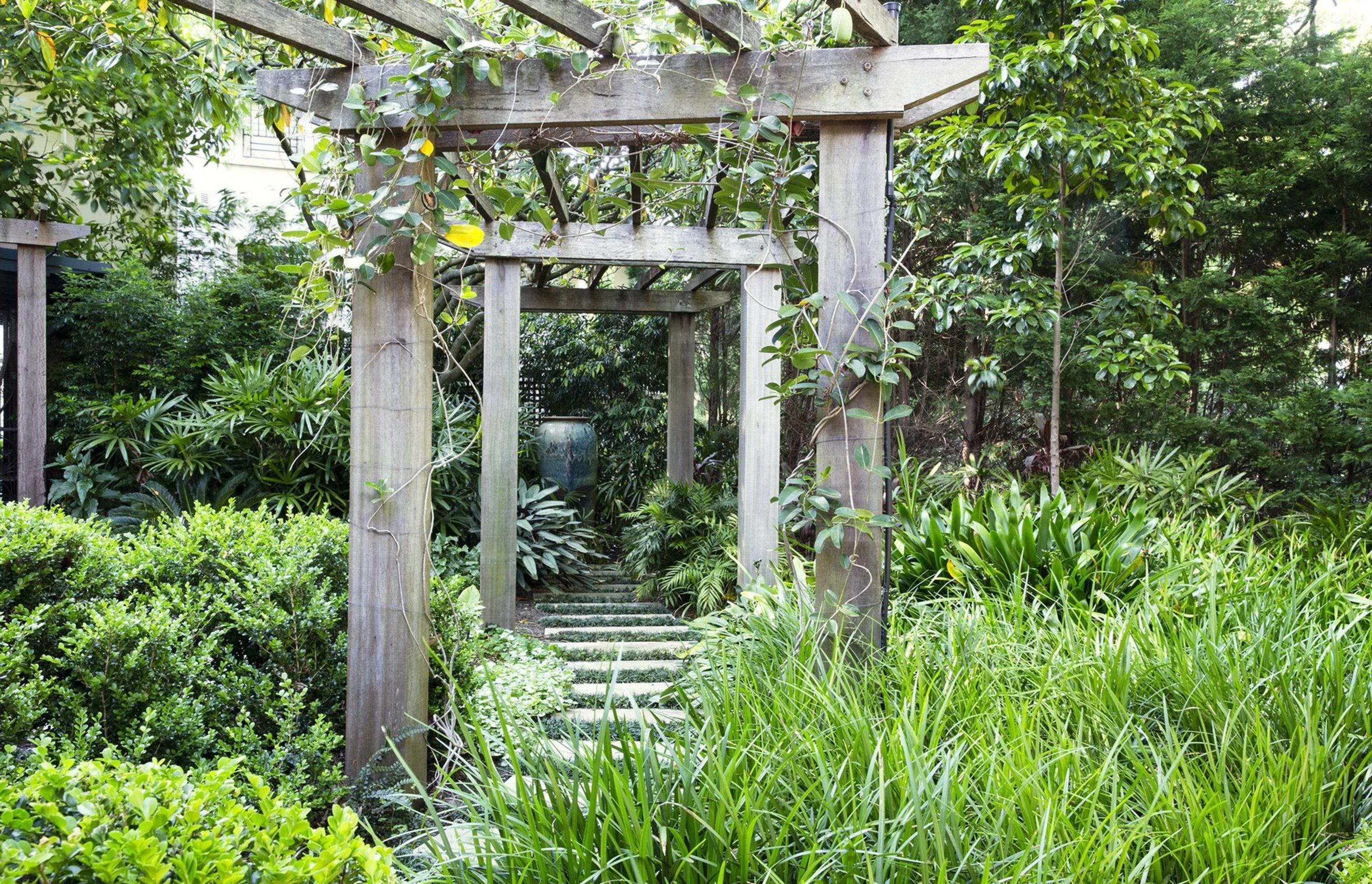 Bower Bird by Bates Landscape Construction | ArchiPro AU