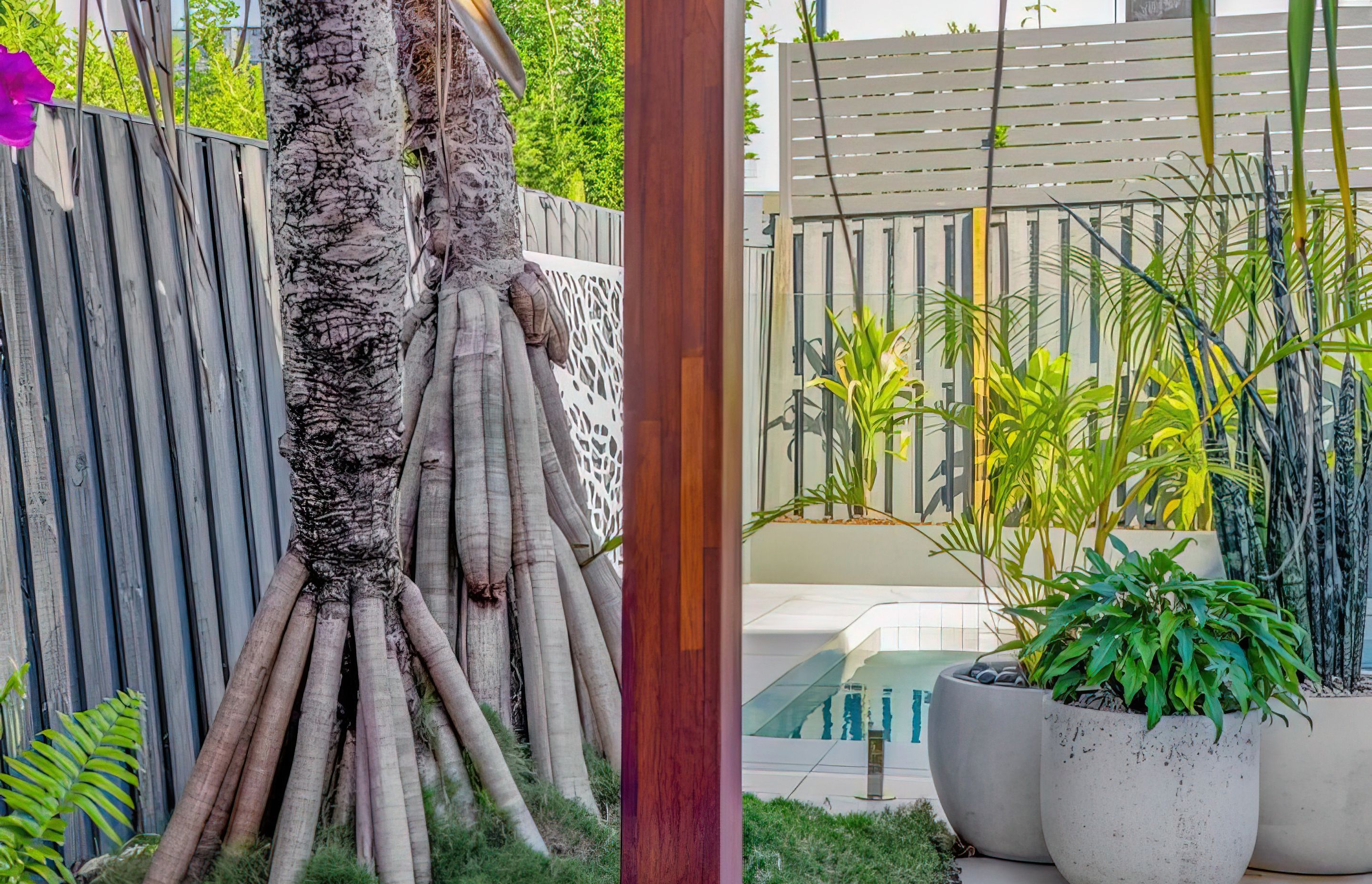 Alex Heads - Tropical Refresh by Earth Design | ArchiPro AU