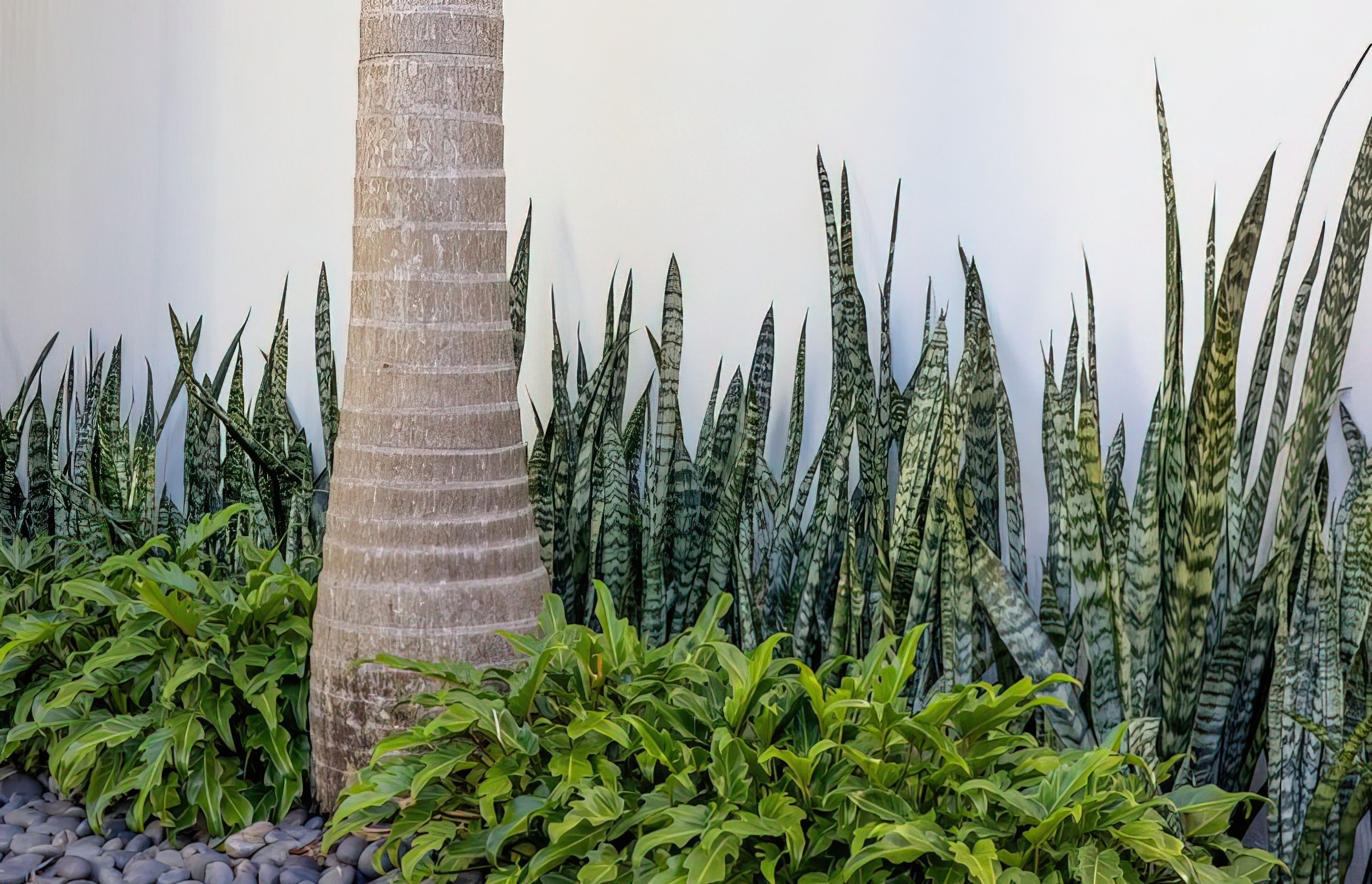 Alex Heads - Tropical Refresh by Earth Design | ArchiPro AU