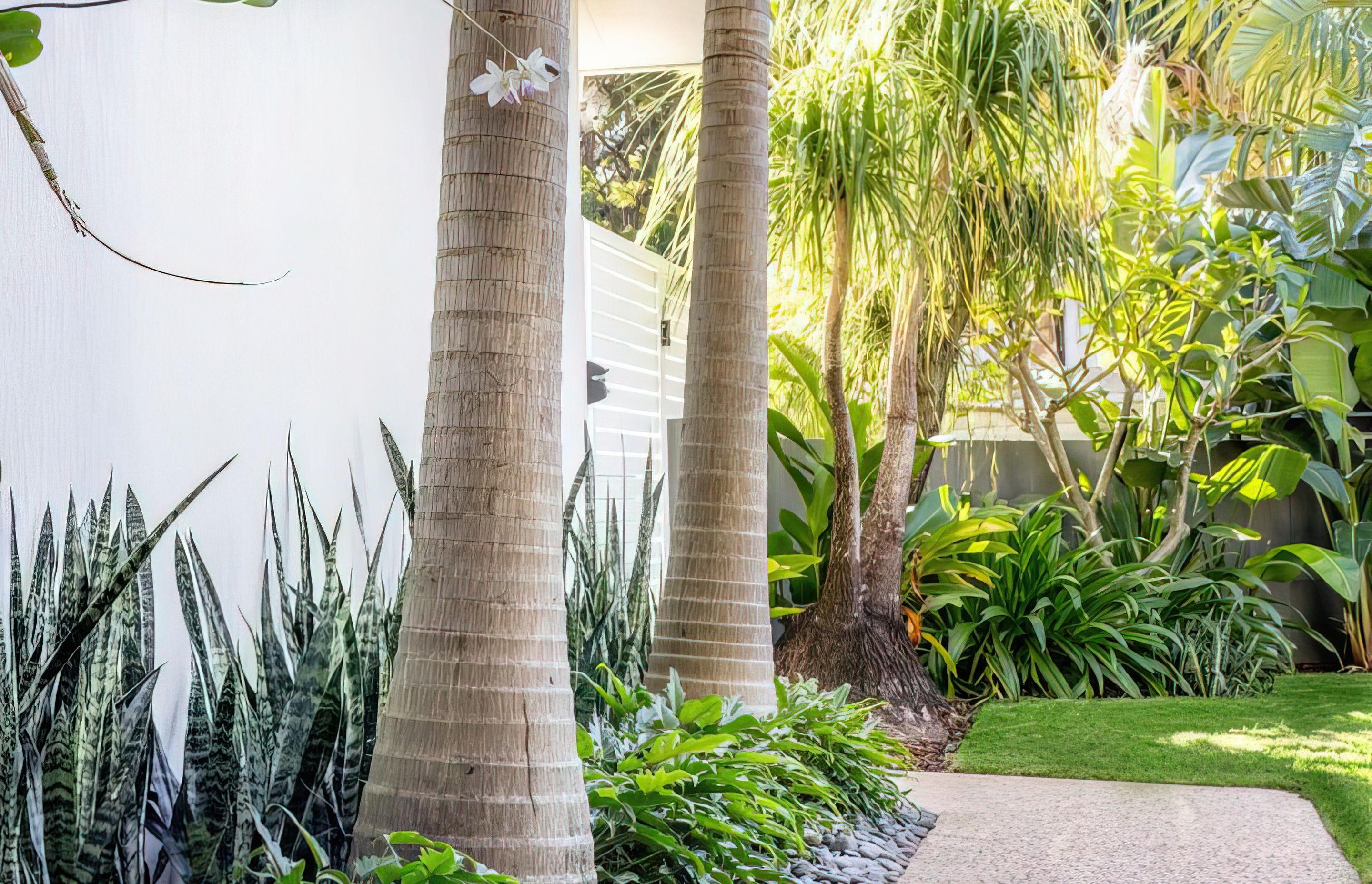 Alex Heads - Tropical Refresh by Earth Design | ArchiPro AU