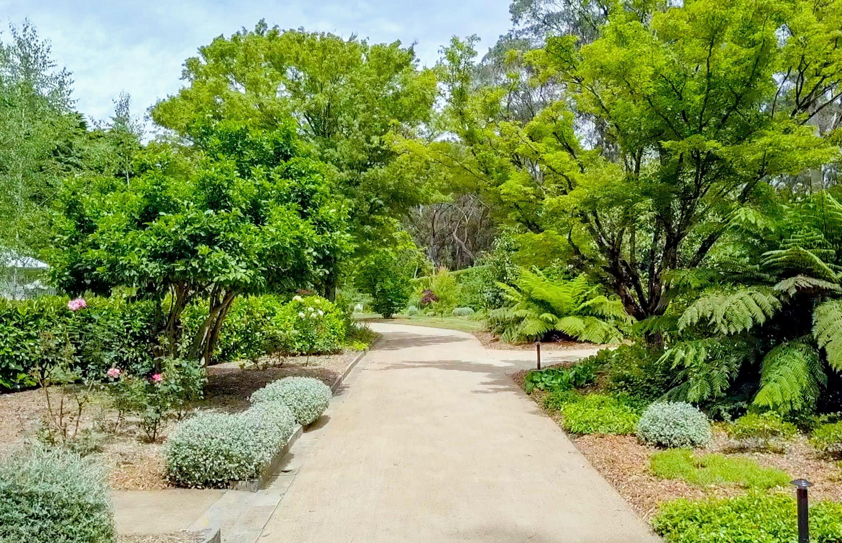 Blue Mountains Elegance by Bates Landscape Design | ArchiPro AU