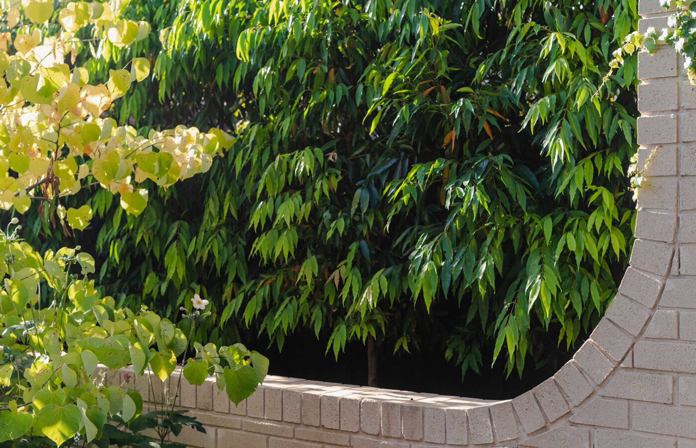 Sharp Street, Northcote by Peachy Green | ArchiPro AU