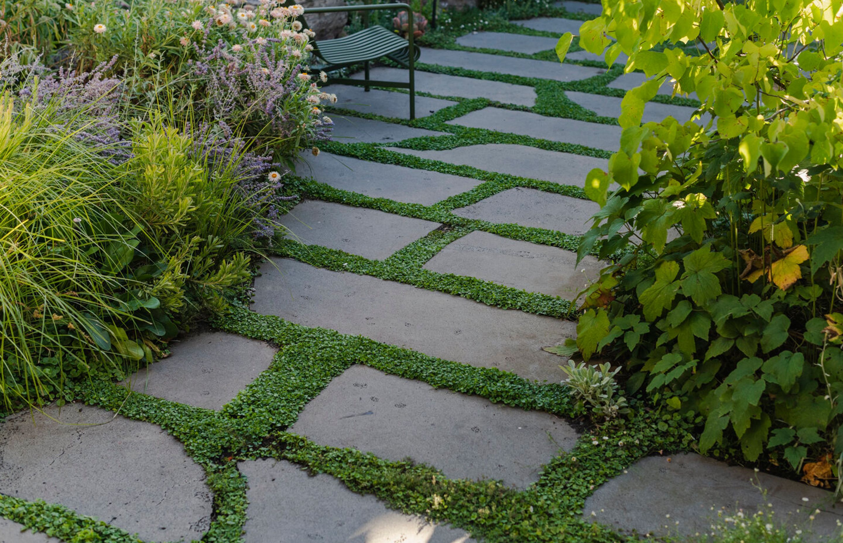 Sharp Street, Northcote by Peachy Green | ArchiPro AU