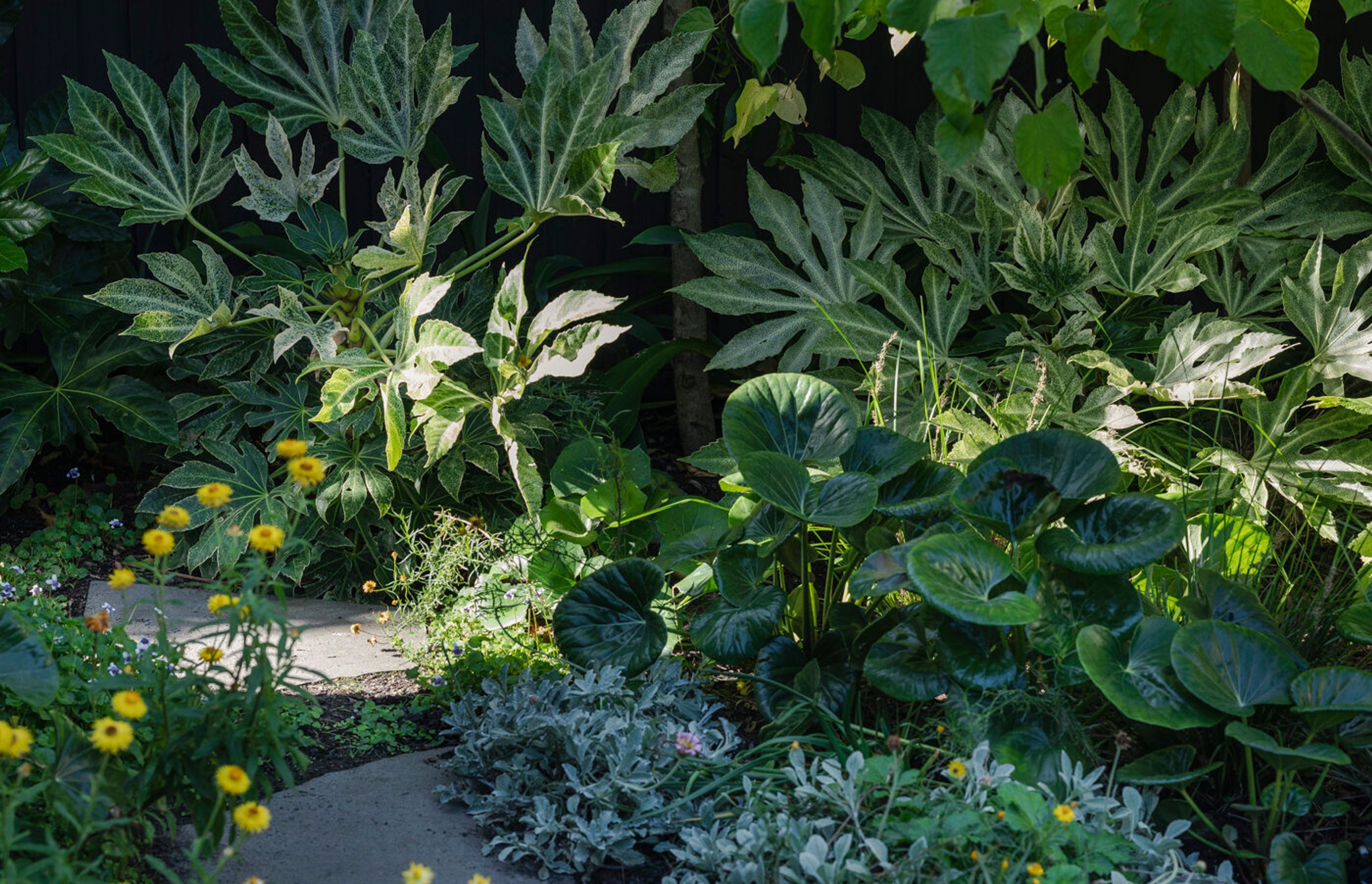 Sharp Street, Northcote by Peachy Green | ArchiPro AU