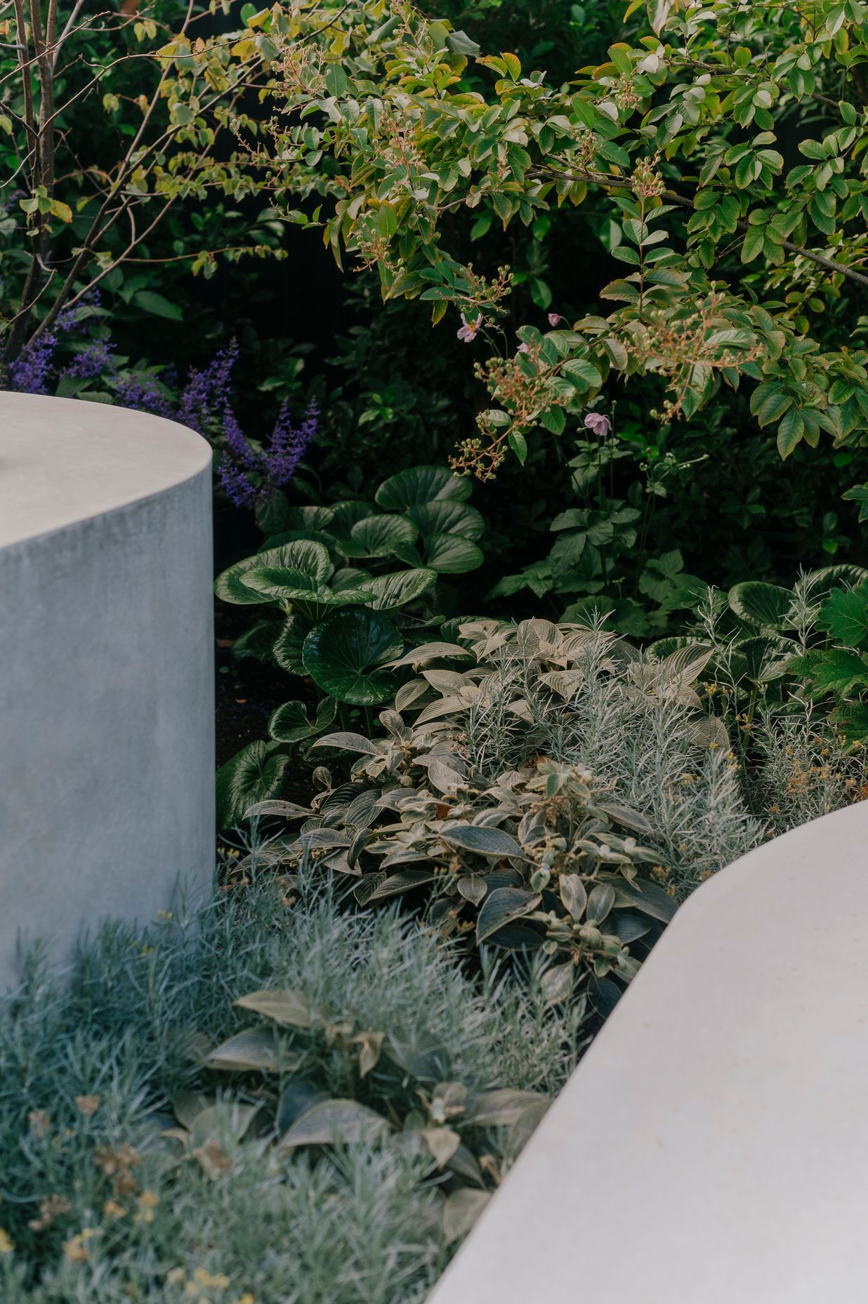 Xavier Hawthorn by Peachy Green | ArchiPro AU