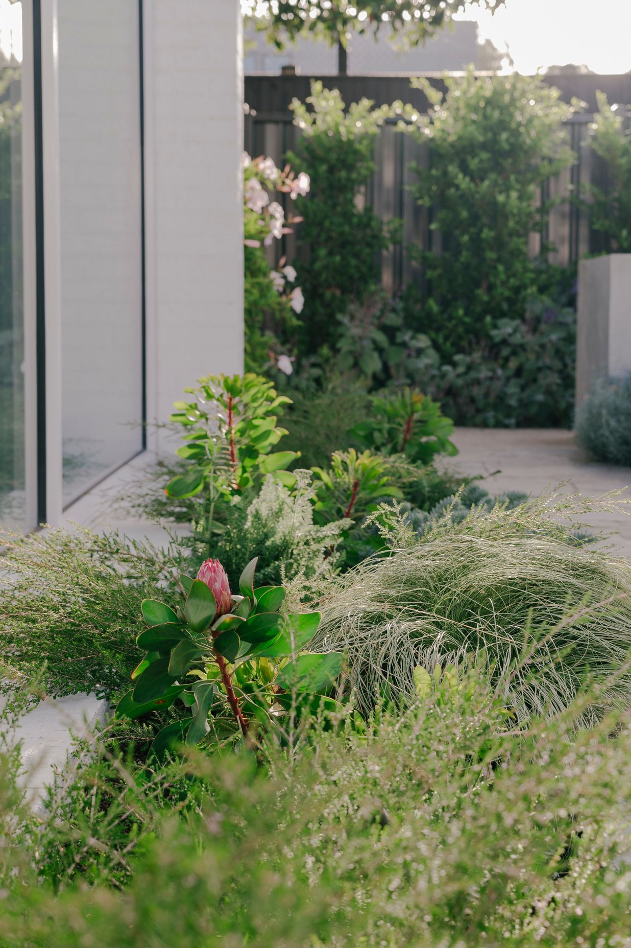 Xavier Hawthorn by Peachy Green | ArchiPro AU