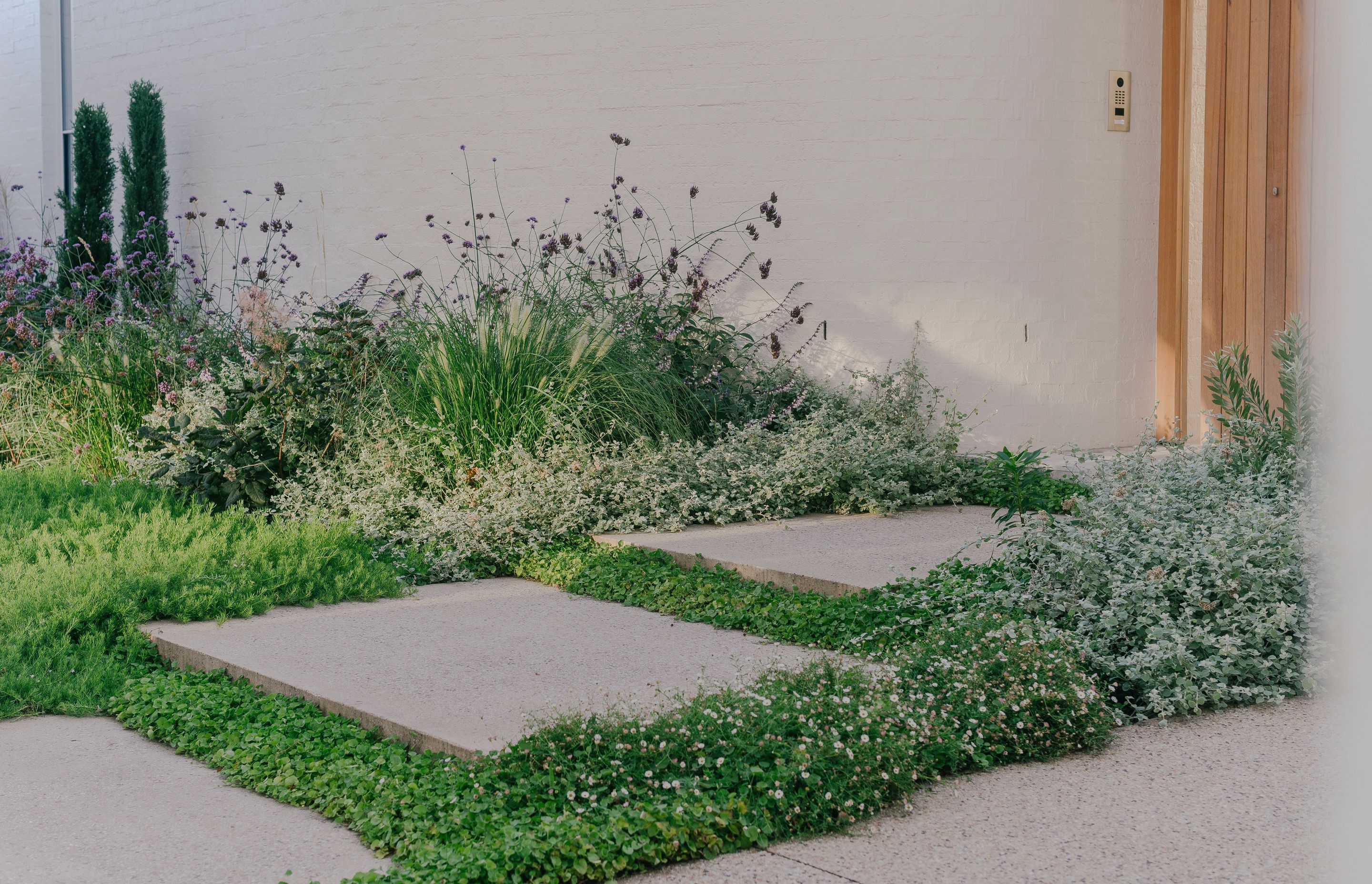 Xavier Hawthorn by Peachy Green | ArchiPro AU