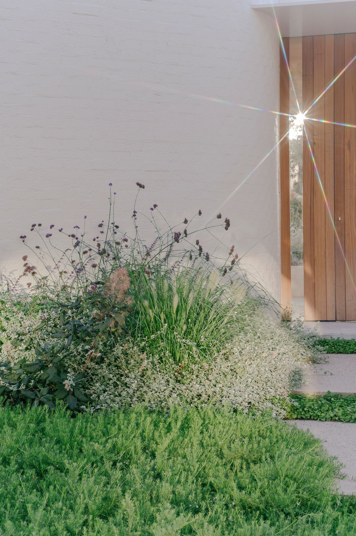 Xavier Hawthorn by Peachy Green | ArchiPro AU