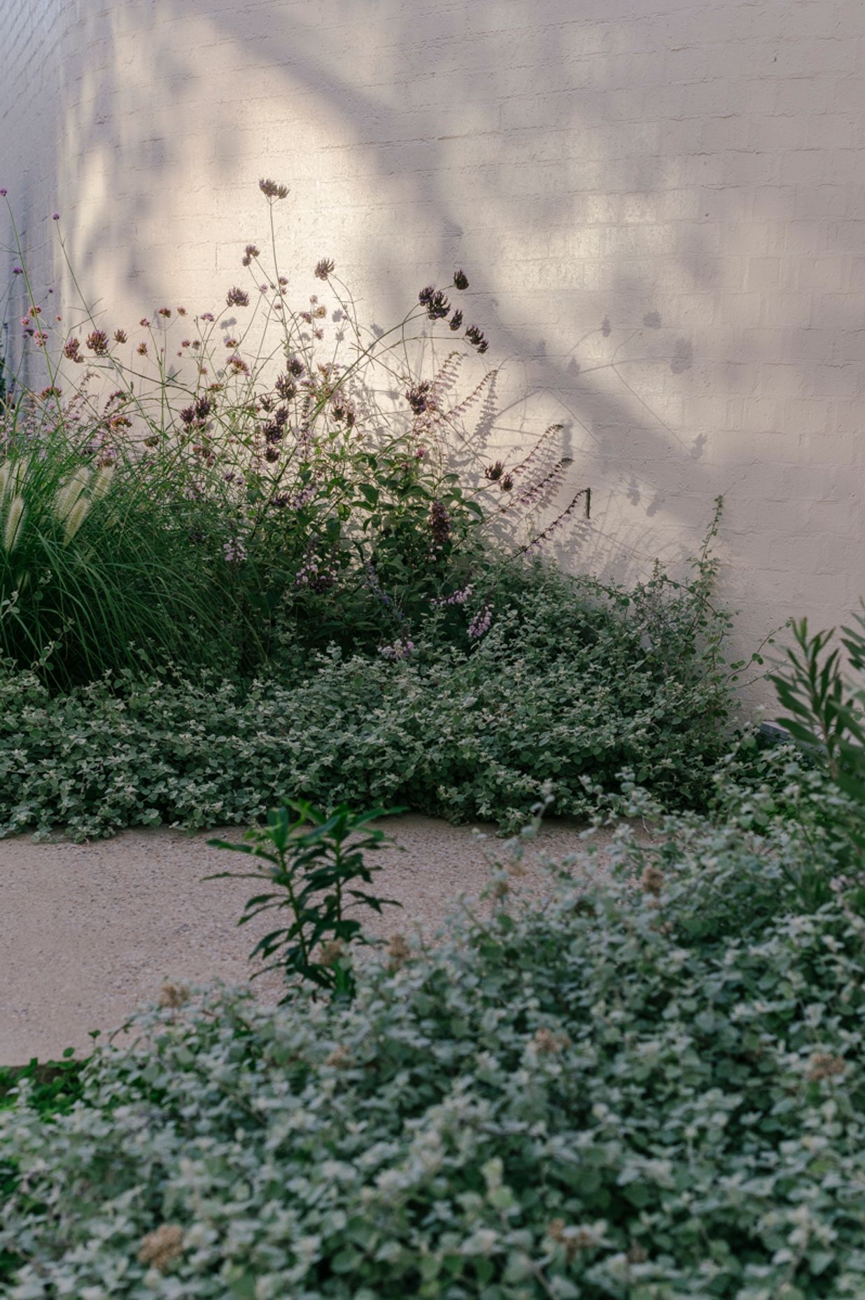 Xavier Hawthorn by Peachy Green | ArchiPro AU