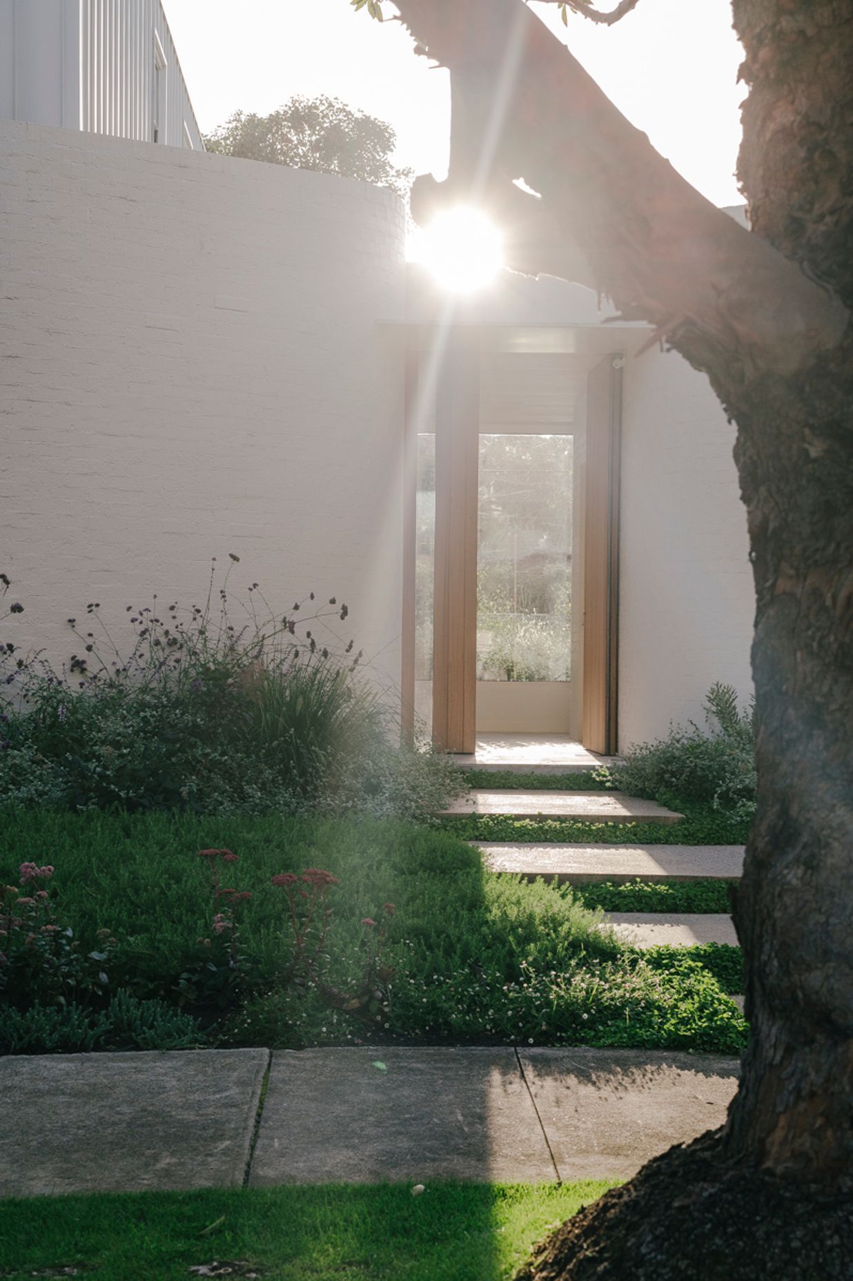 Xavier Hawthorn by Peachy Green | ArchiPro AU