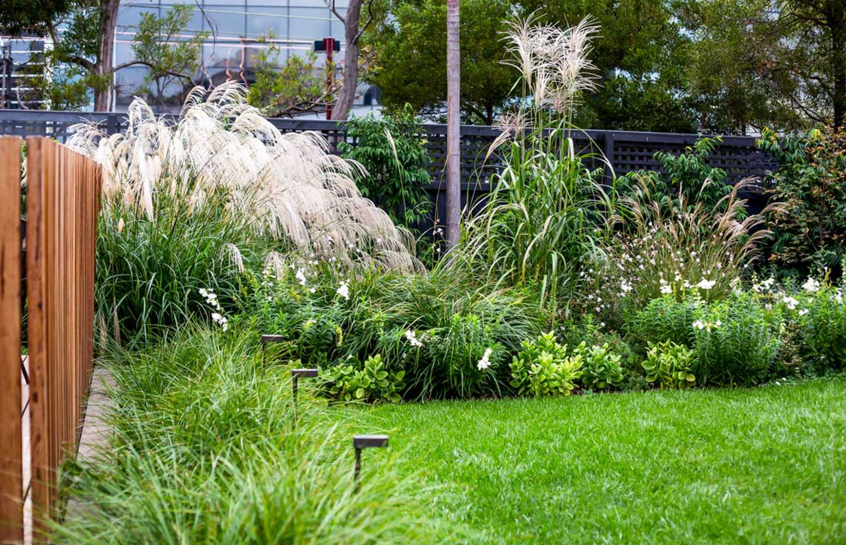 South Yarra 01 by Josh Norman Landscapes | ArchiPro AU