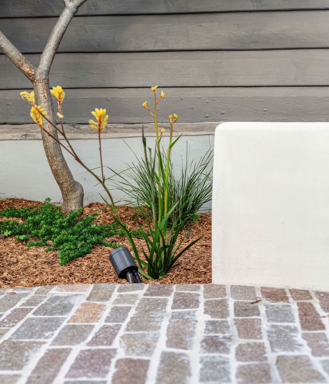 The Junction | Bold Architecture, Soft Landscape by MUD Landscape ...