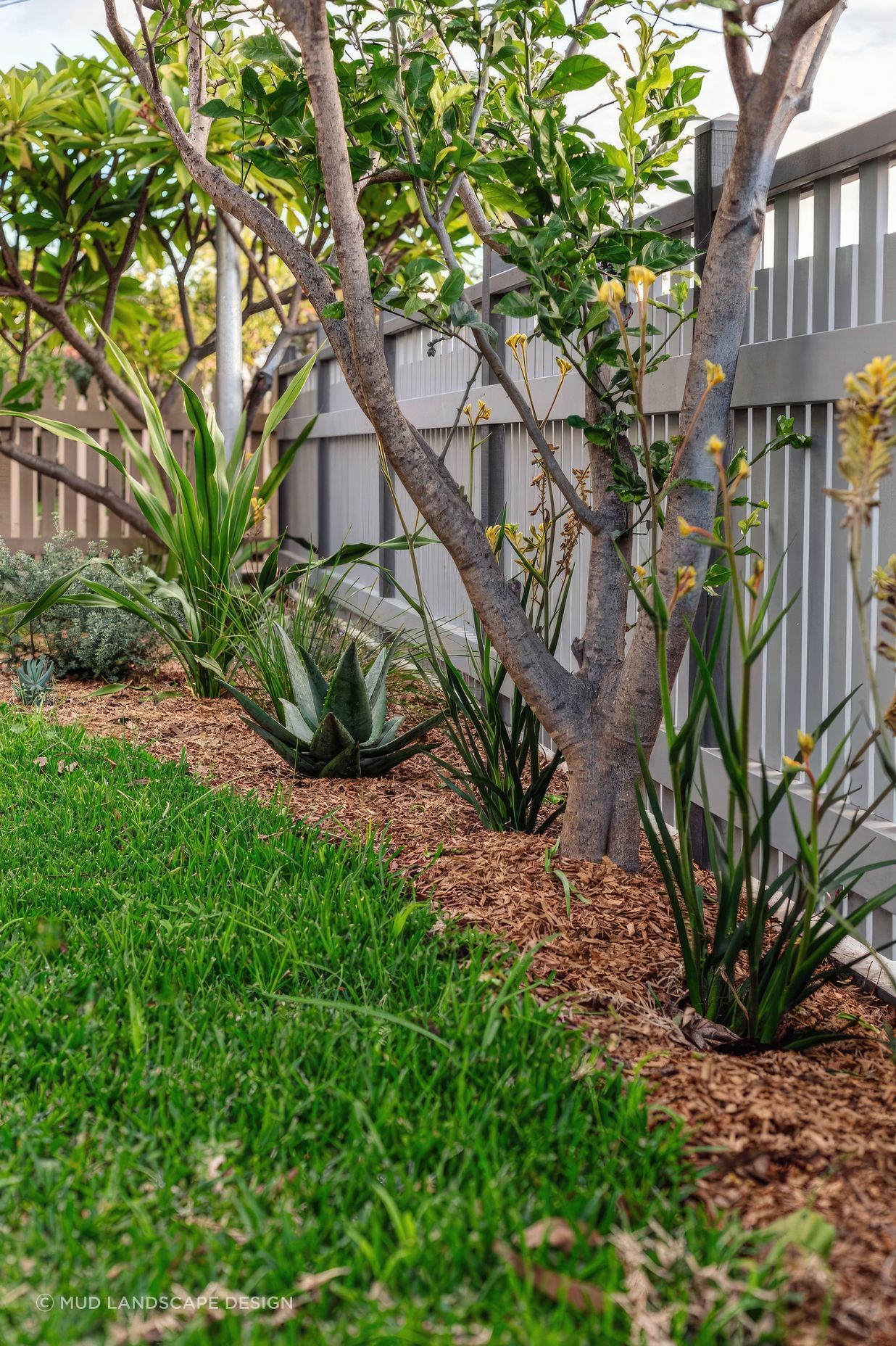 The Junction | Bold Architecture, Soft Landscape by MUD Landscape ...