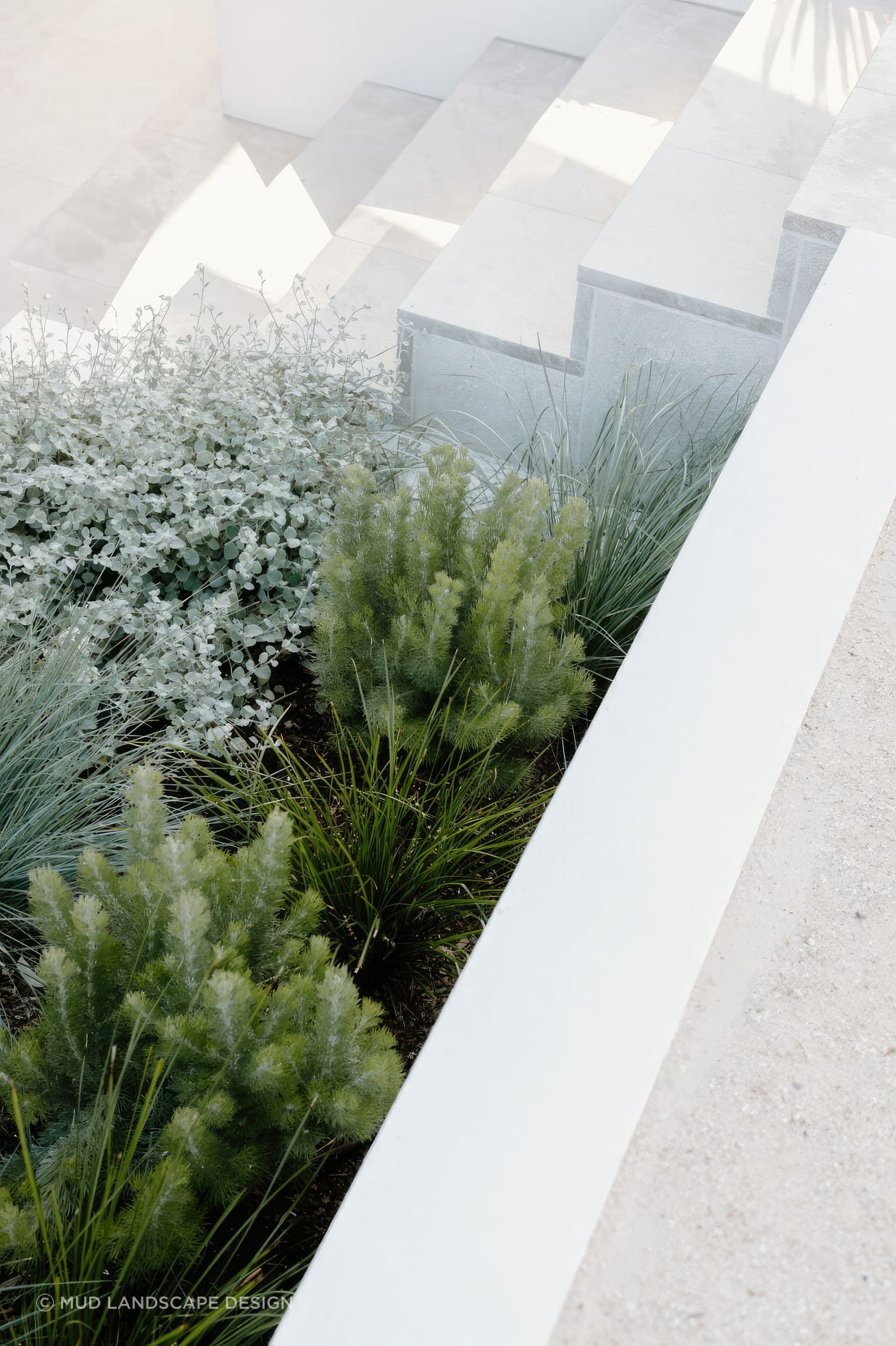 Jewells | Suburban Luxury by MUD Landscape Design | ArchiPro AU