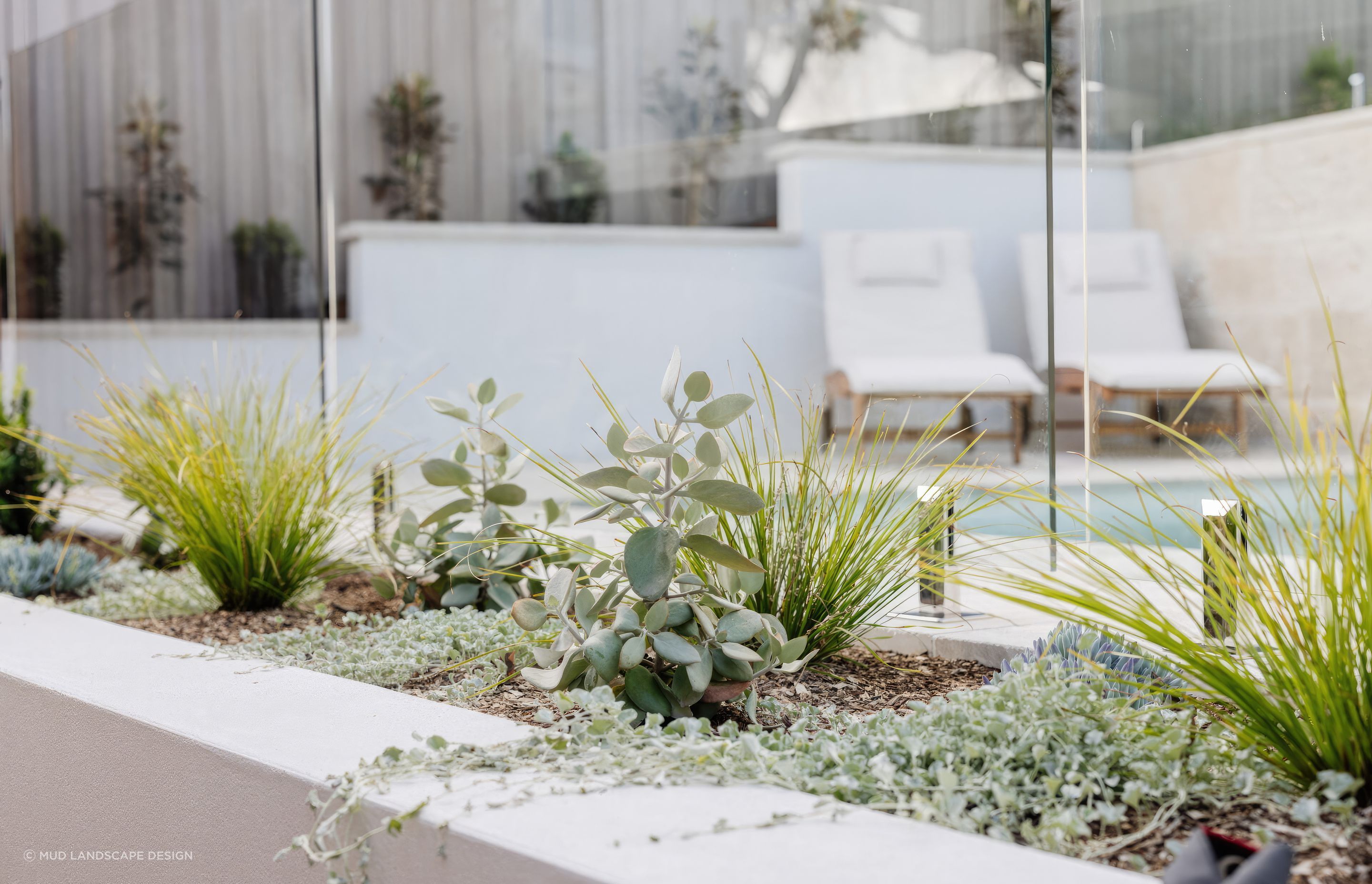 Jewells | Suburban Luxury by MUD Landscape Design | ArchiPro AU