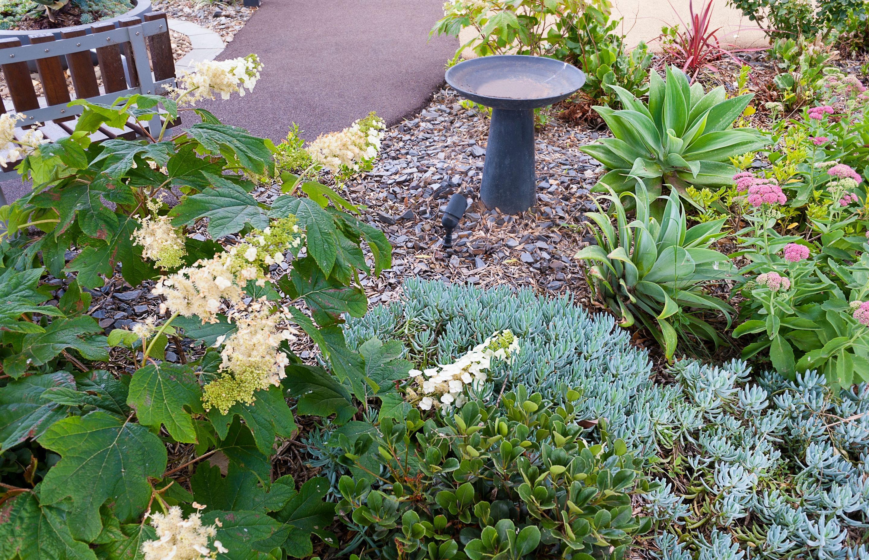 Dementia Therapy Garden Werribee by Kelly Royle Landscape Architecture ...