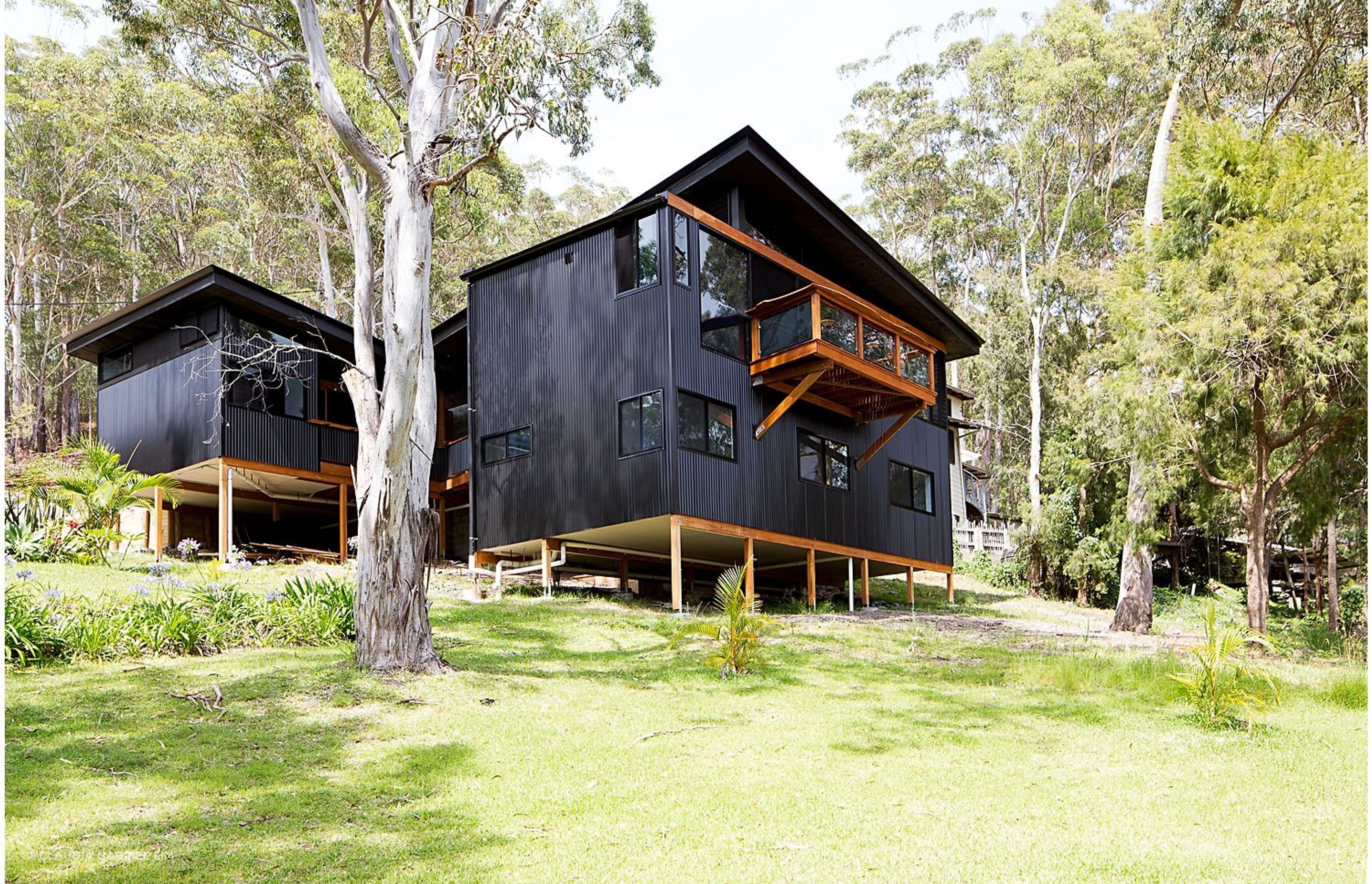 Lizzie Treehouse by Claudia Gabriel Lim | ArchiPro AU