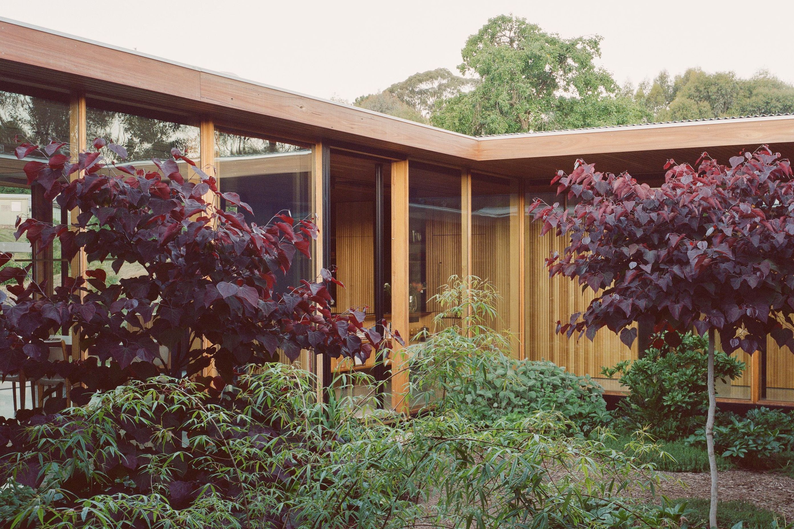 Court House by Archier | ArchiPro AU