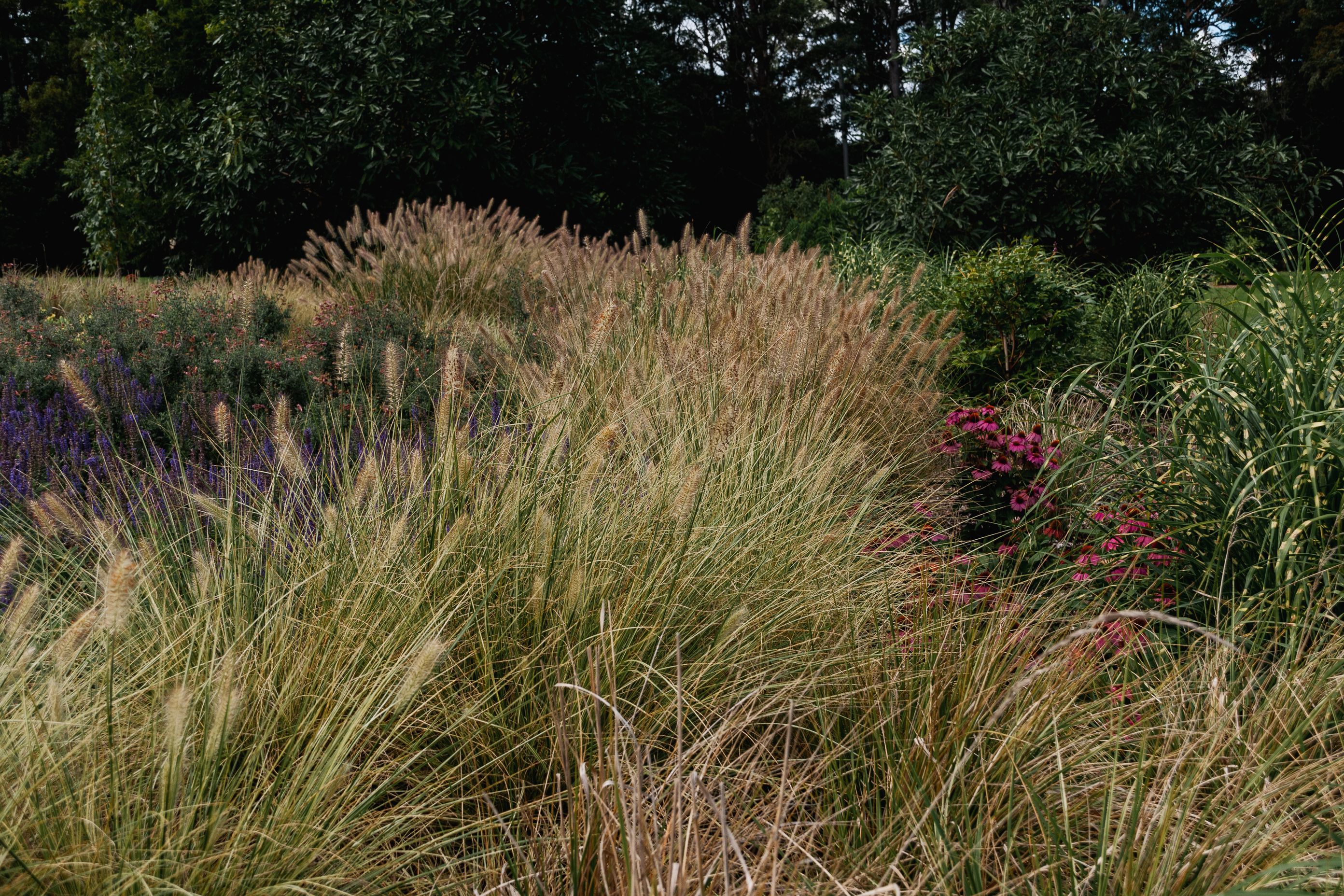 The Faithfull House & Garden by Clark + Granger | ArchiPro AU