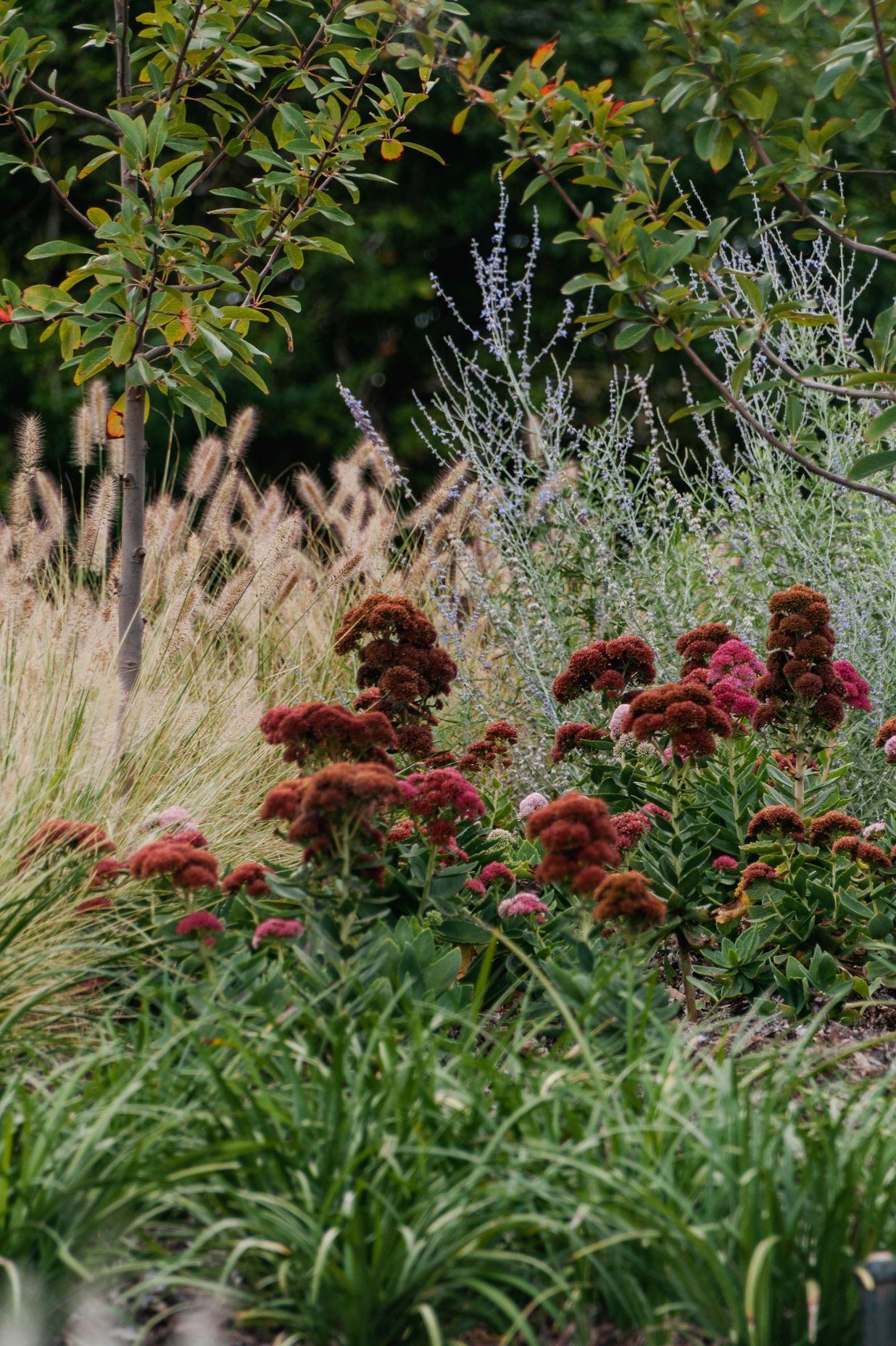 The Faithfull House & Garden by Clark + Granger | ArchiPro AU