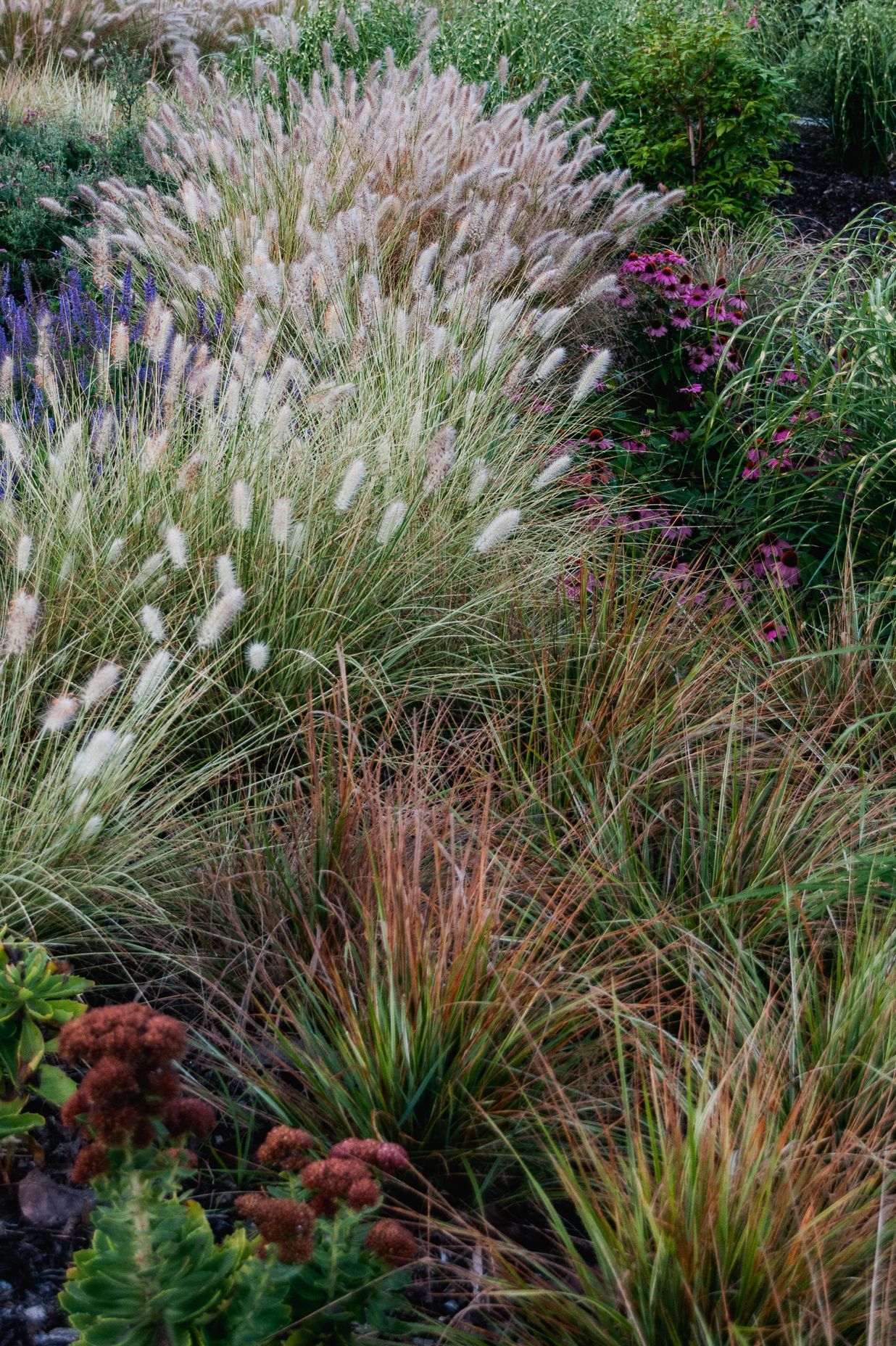 The Faithfull House & Garden by Clark + Granger | ArchiPro AU