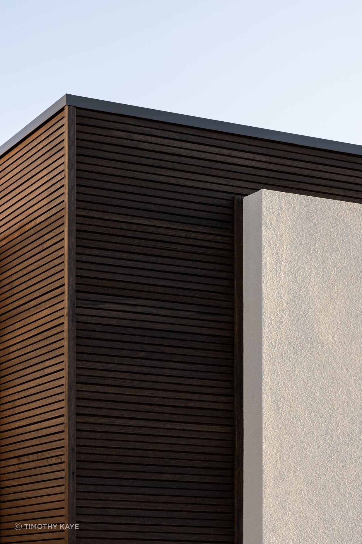 Finn by Arli Homes | ArchiPro AU