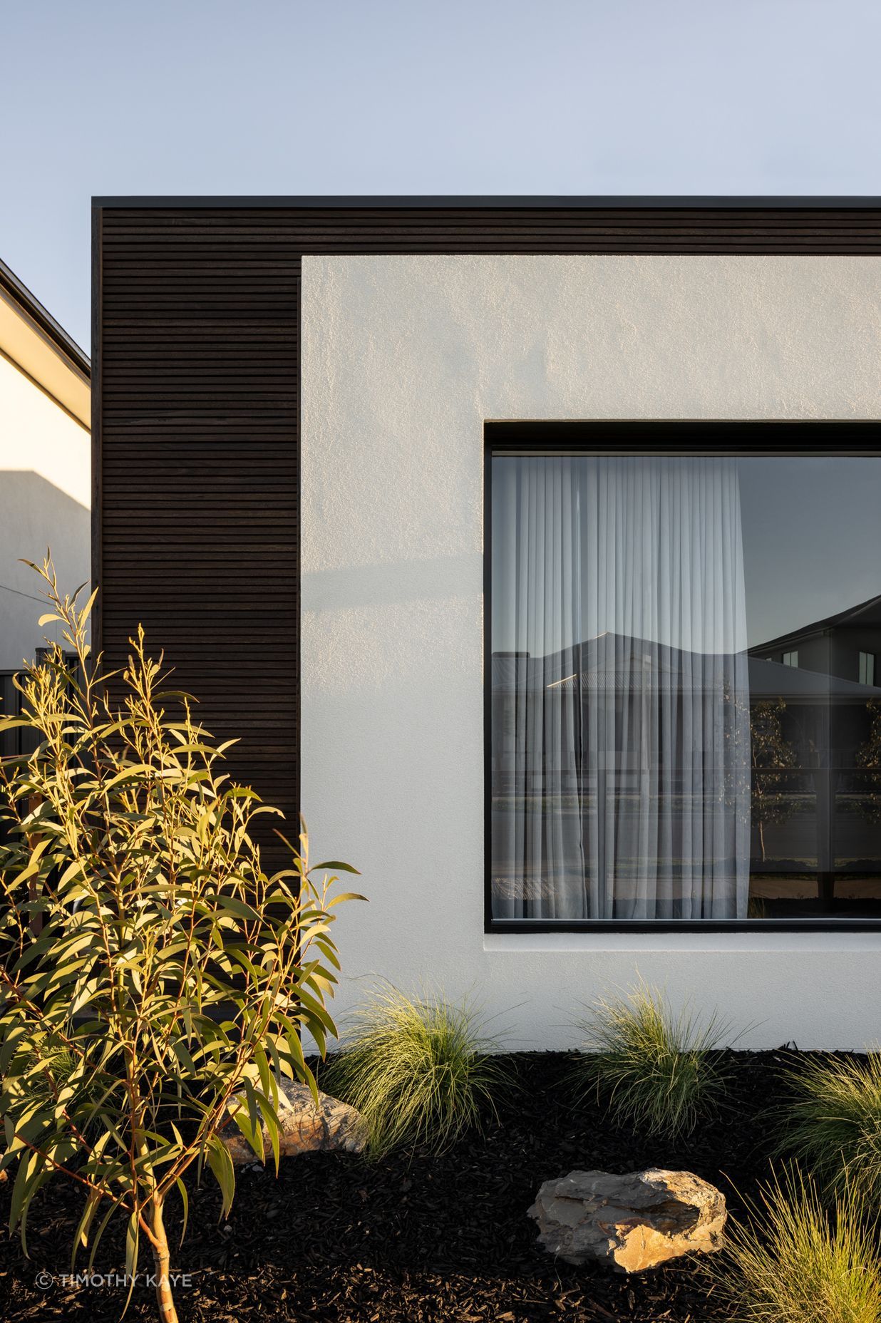 Finn by Arli Homes | ArchiPro AU
