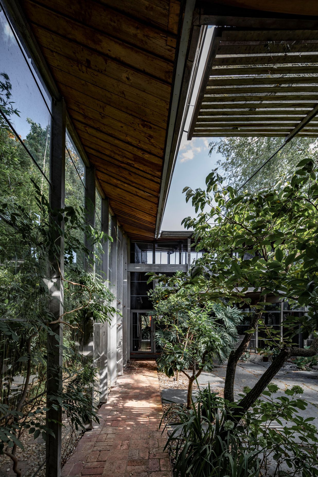 Robin Boyd 'Walsh Street House' by Courtney King | ArchiPro AU