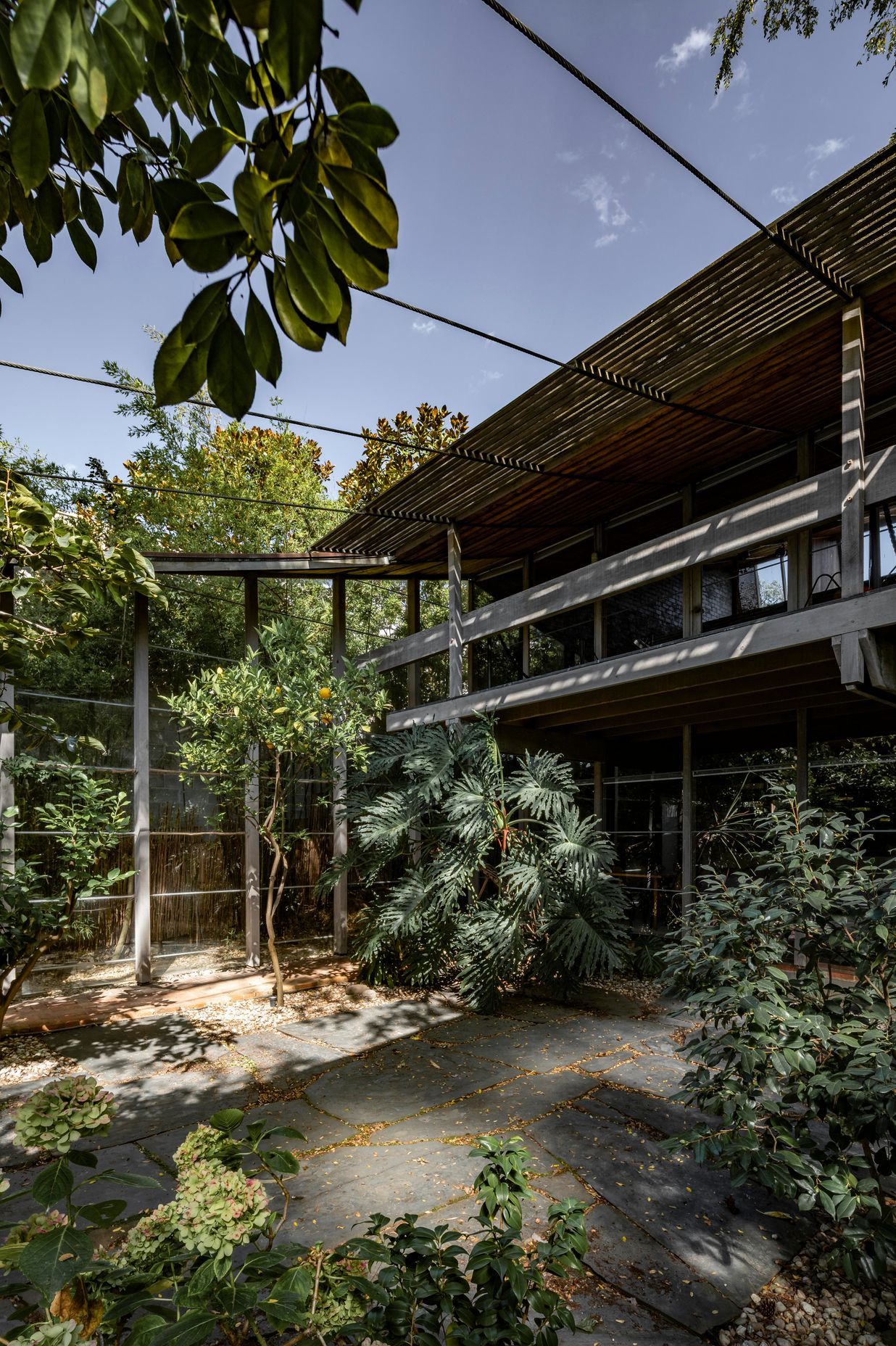 Robin Boyd 'Walsh Street House' by Courtney King | ArchiPro AU
