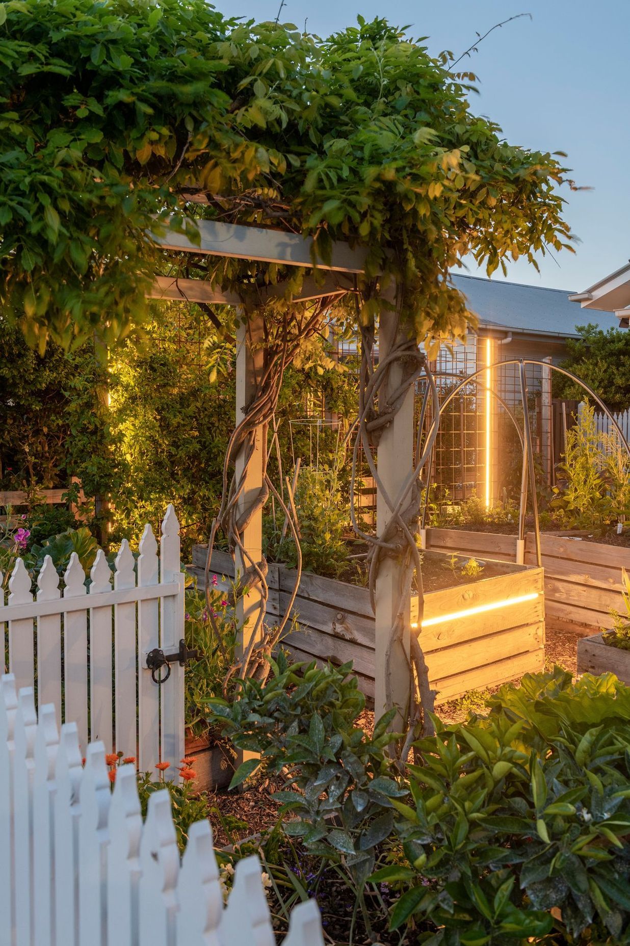 Clive West Footscray by Mint Lighting Design | ArchiPro AU