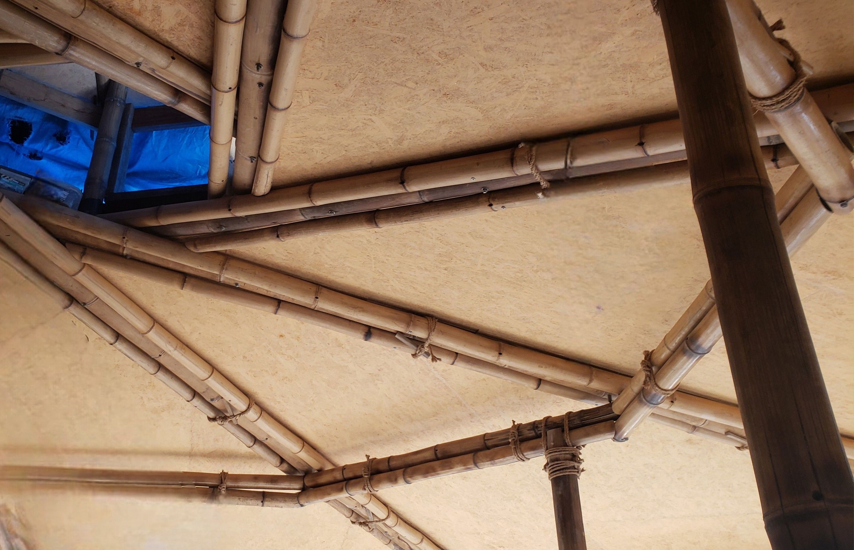 The Green House by Integrated Biotecture Design | ArchiPro AU