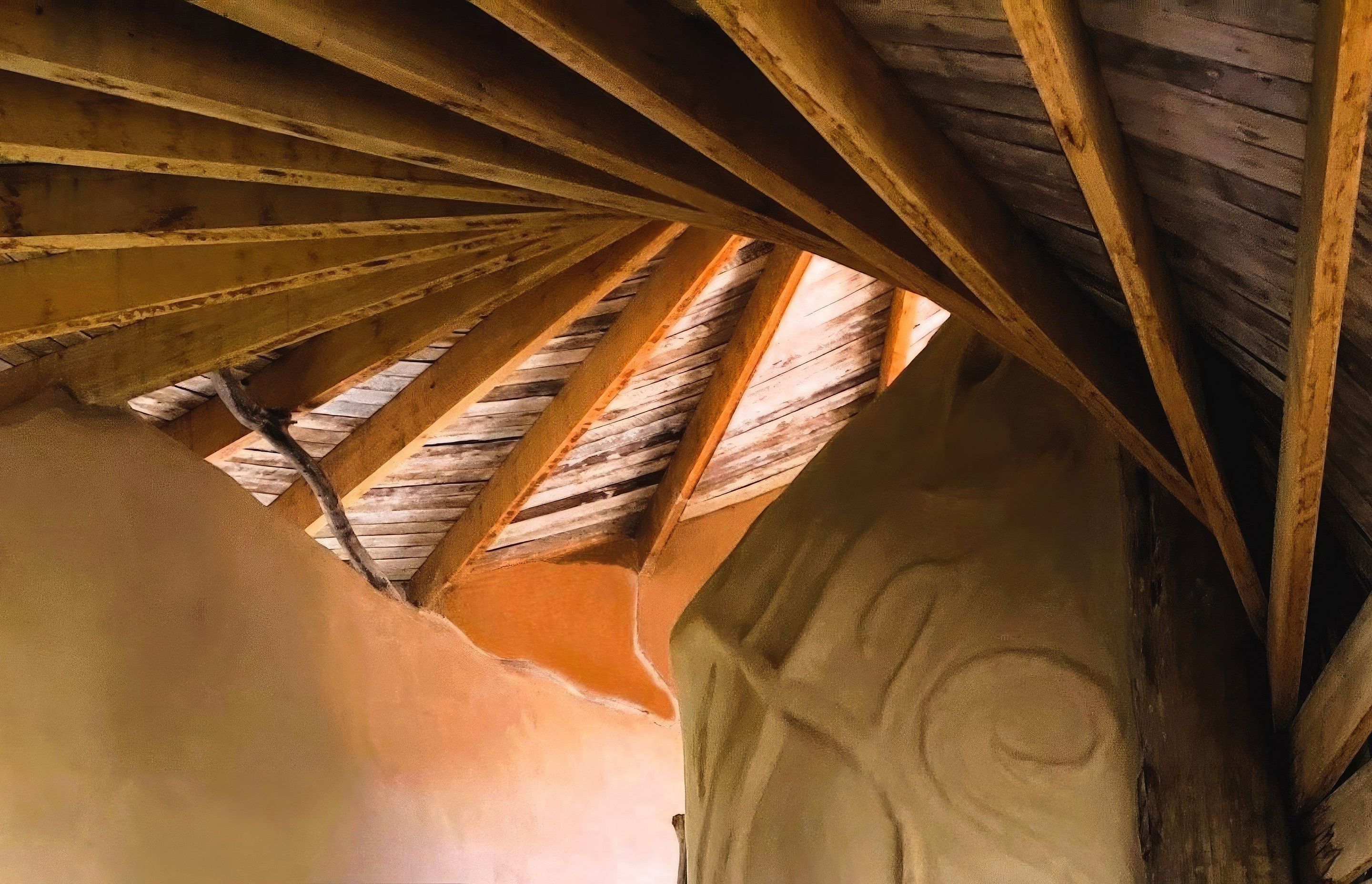 The Green House by Integrated Biotecture Design | ArchiPro AU