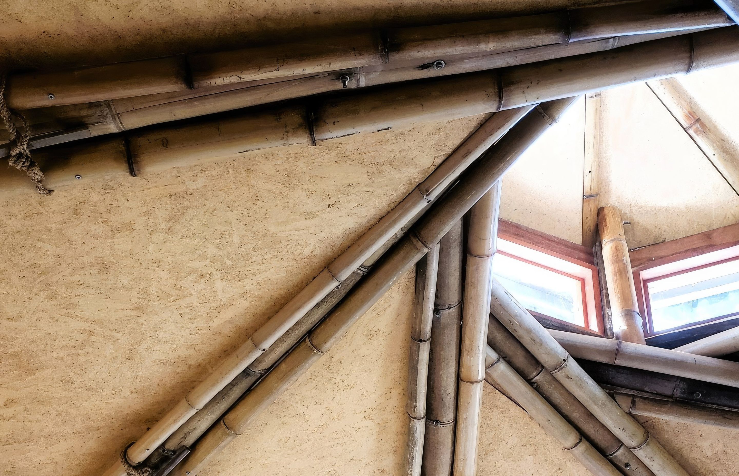 The Green House by Integrated Biotecture Design | ArchiPro AU