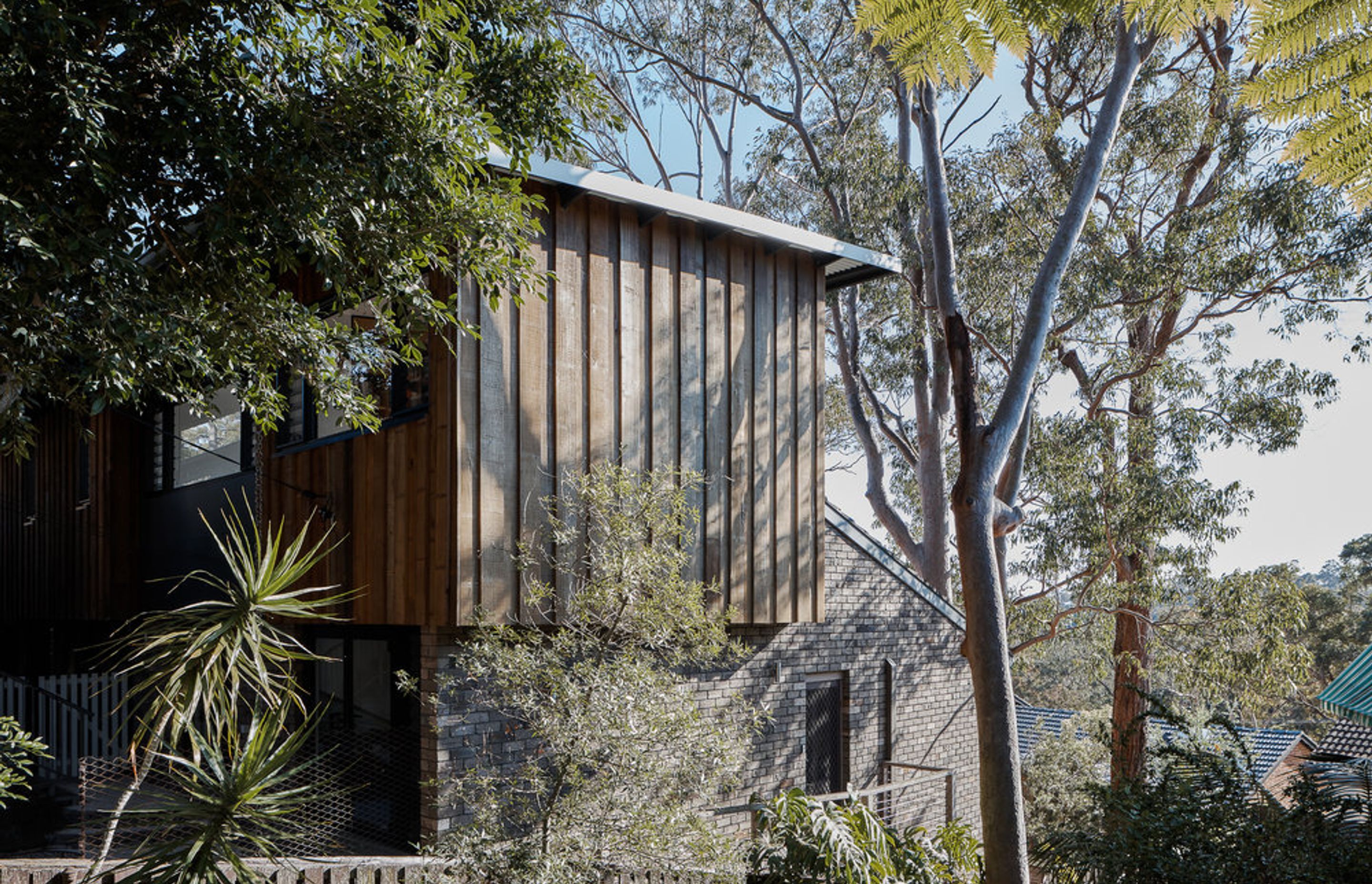Tree Top House by Ironbark Architecture | ArchiPro AU