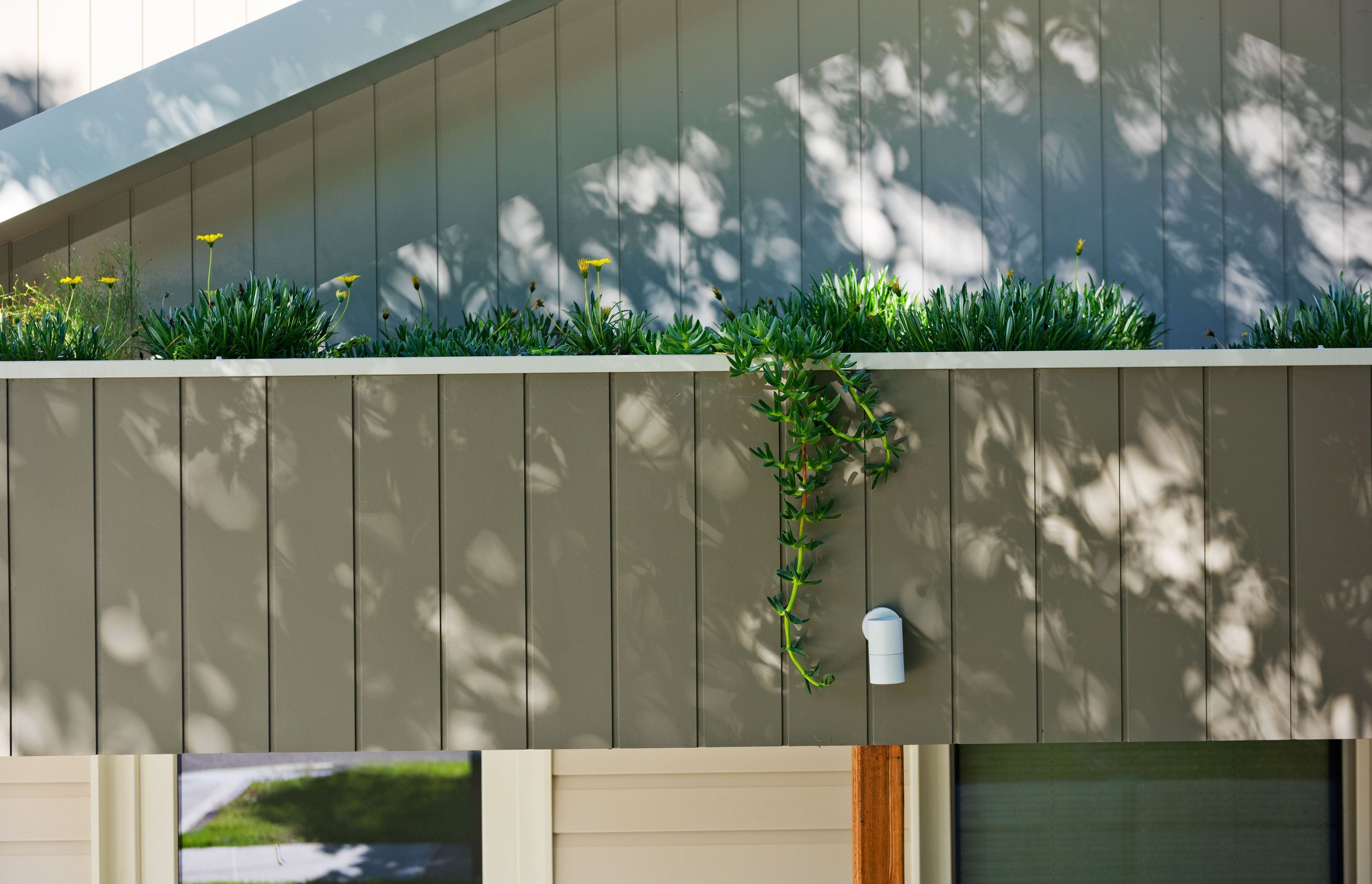 Passiv Courtyard by Envirotecture | ArchiPro AU
