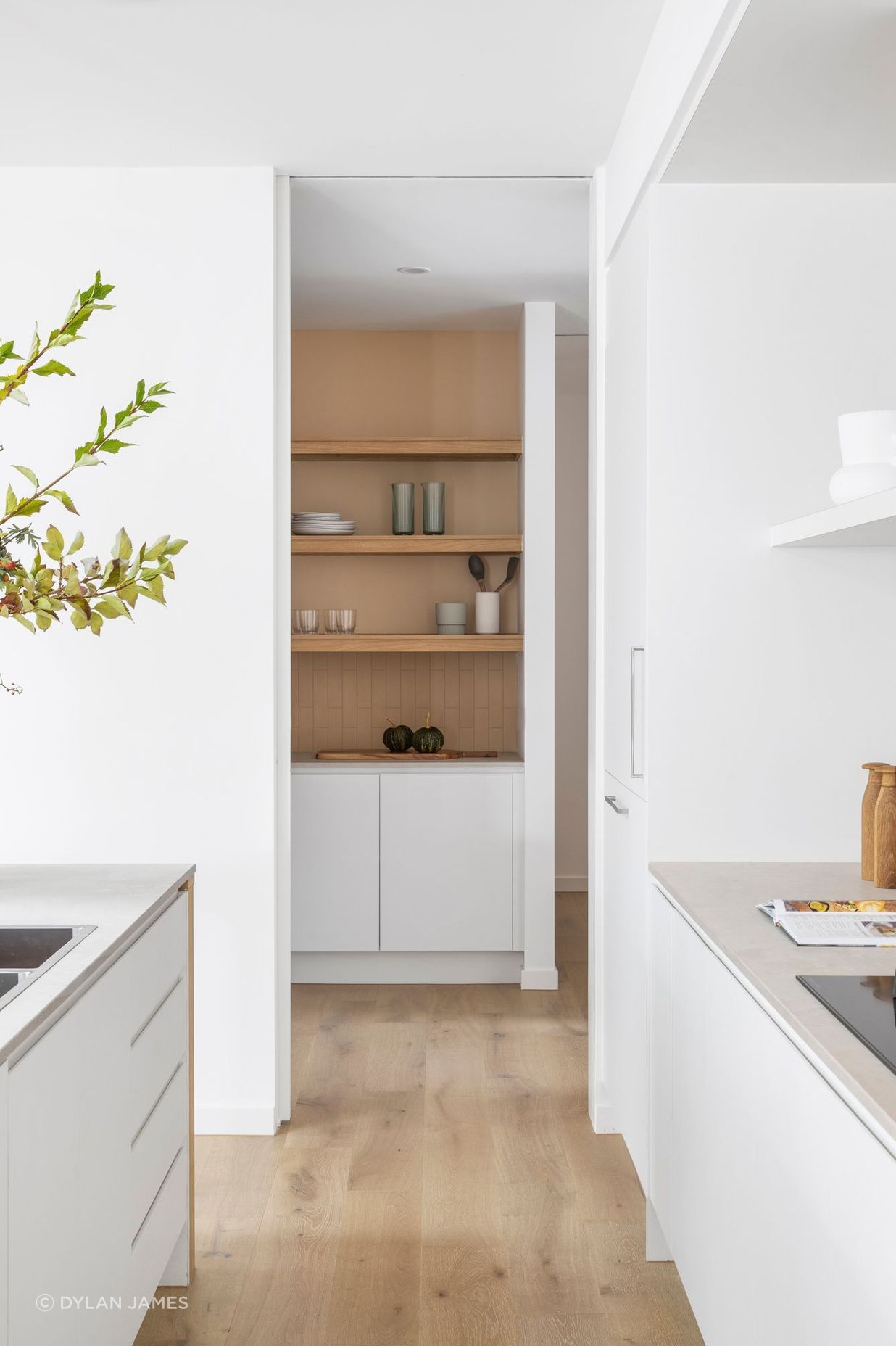 Linear Form - Gen Fyansford by Glenvill Homes | ArchiPro AU