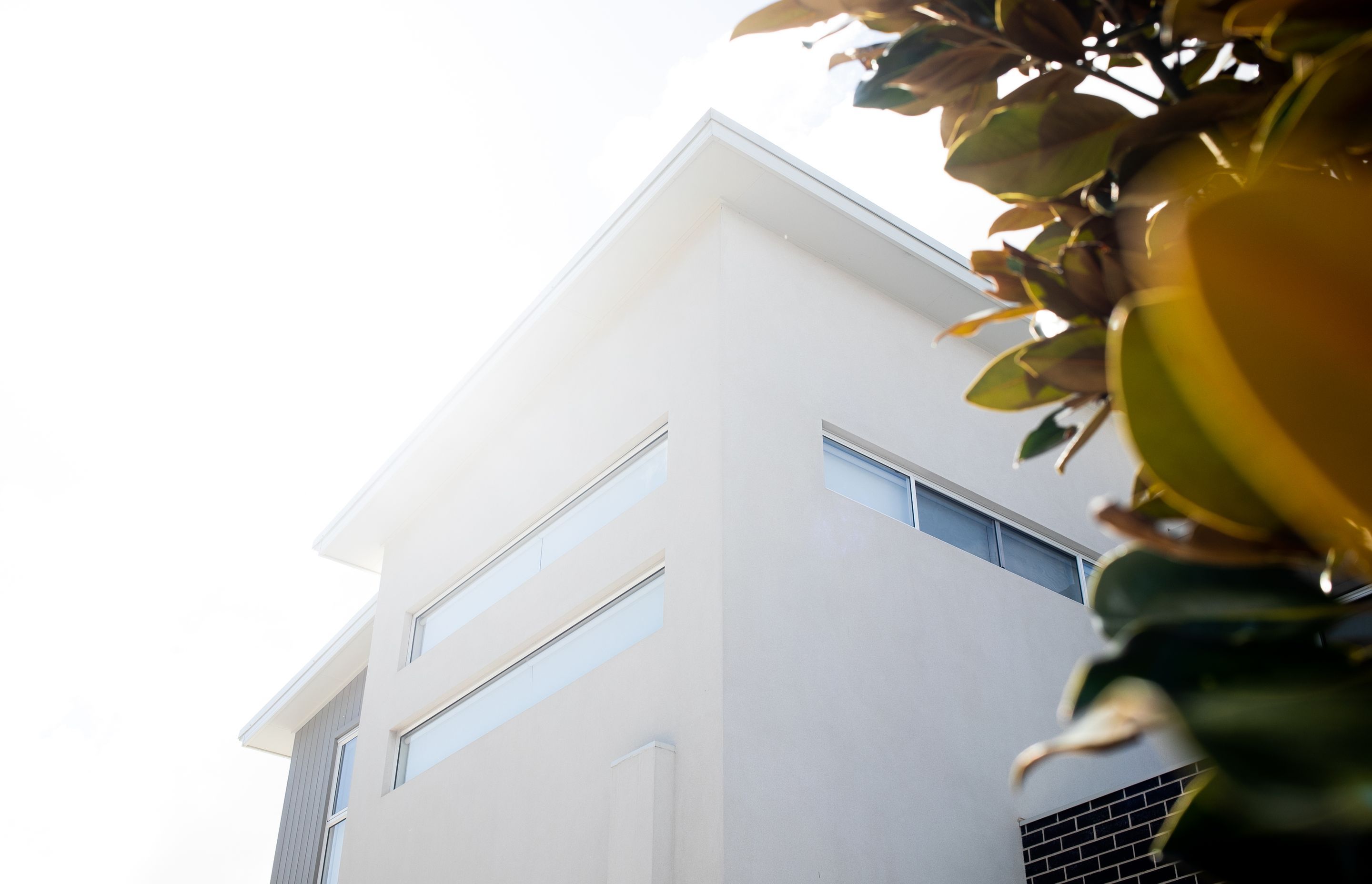 Passiflora Project by SLD Projects | ArchiPro AU