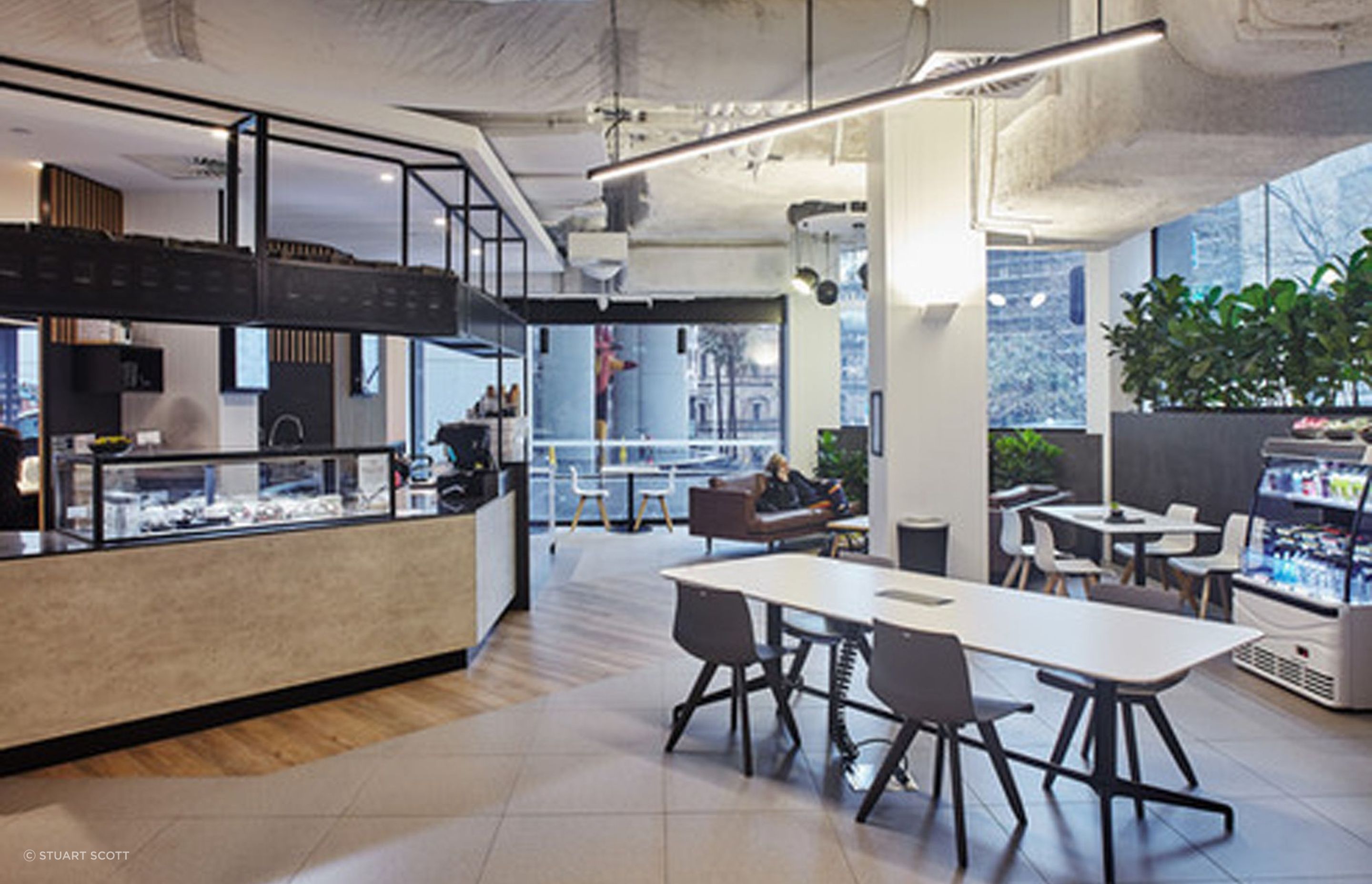 Virgin Active: Bligh Street by Quattro Architecture | ArchiPro AU