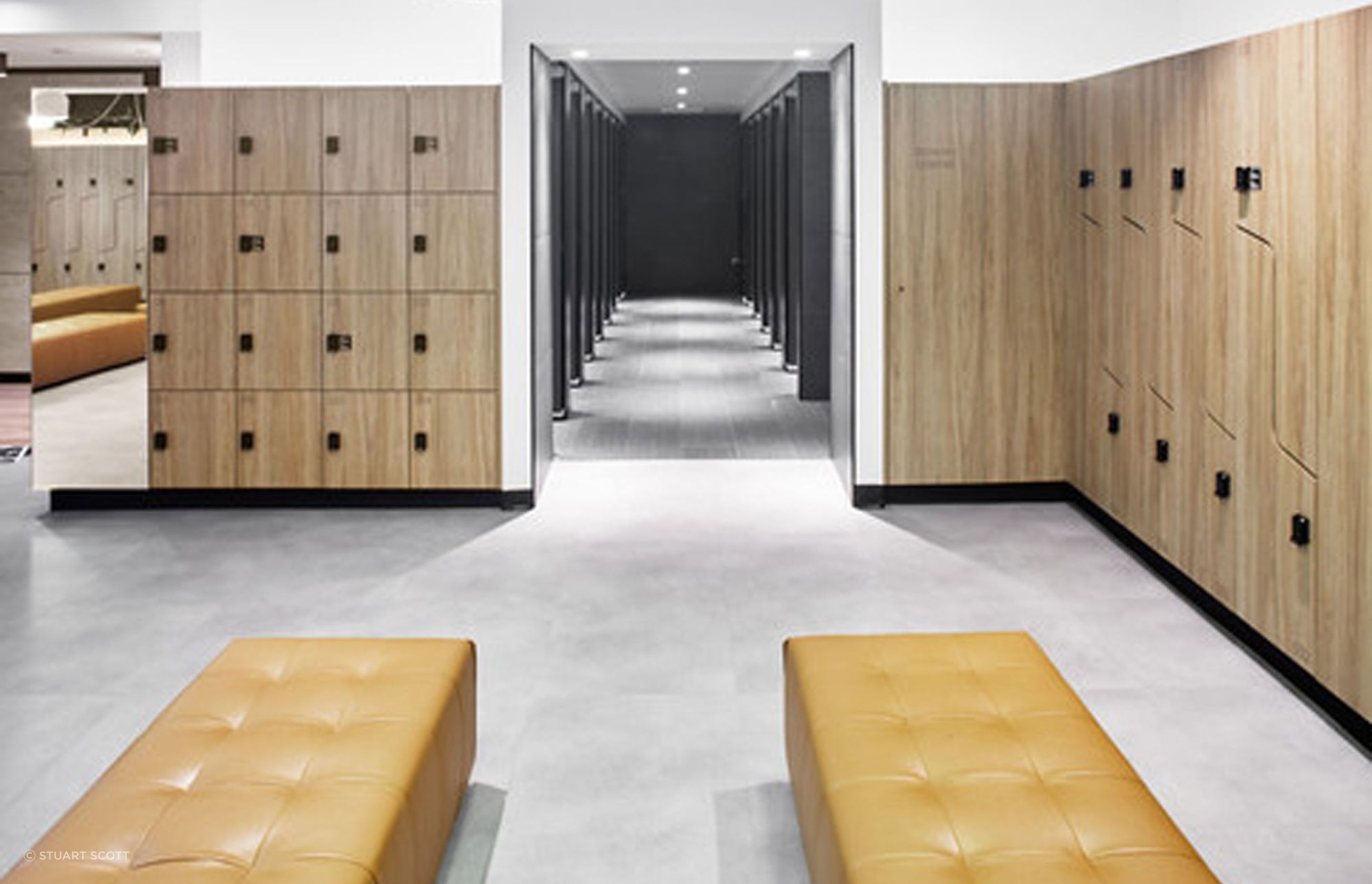 Virgin Active: Bligh Street by Quattro Architecture | ArchiPro AU