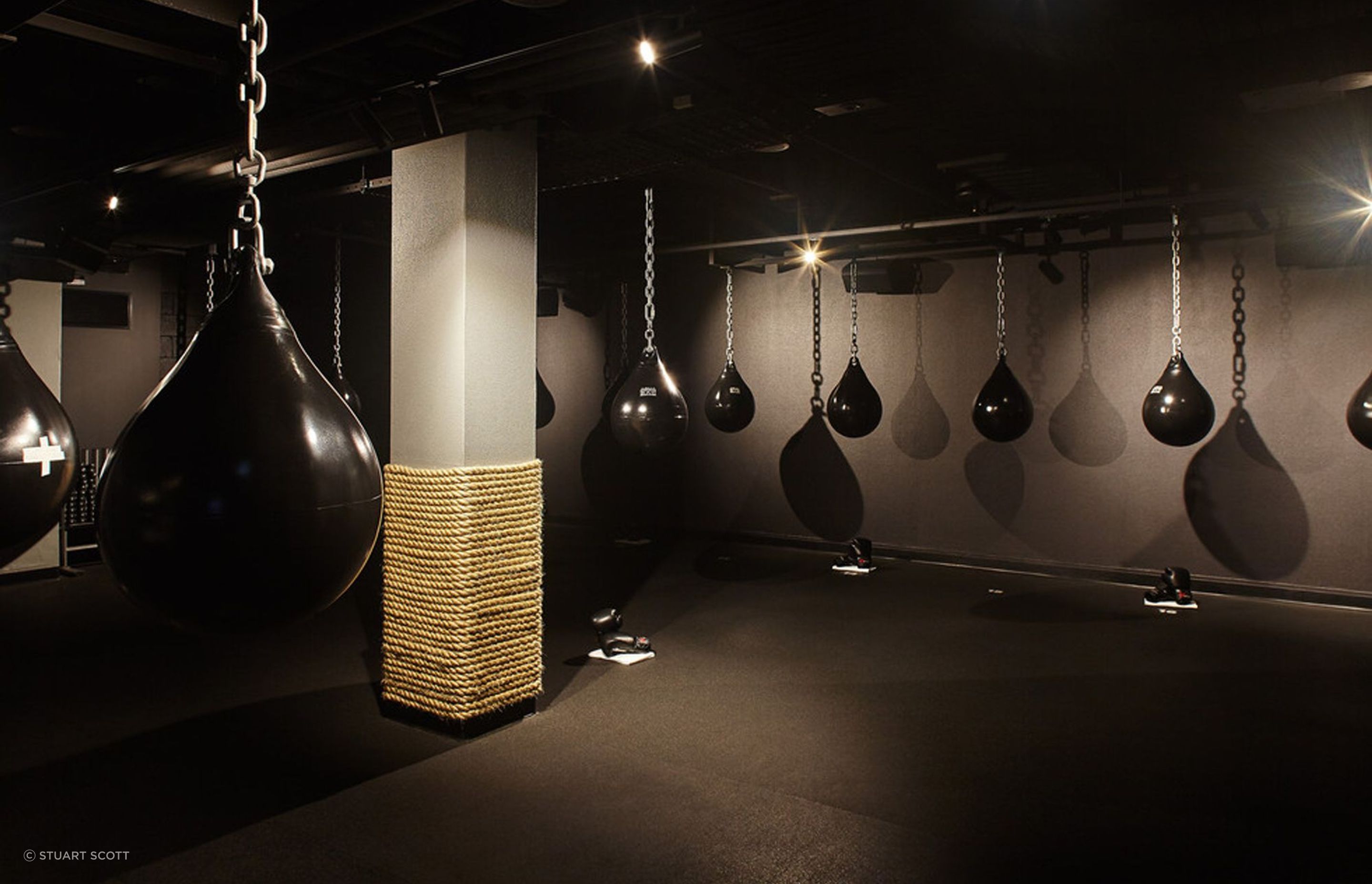 Virgin Active: Bligh Street by Quattro Architecture | ArchiPro AU