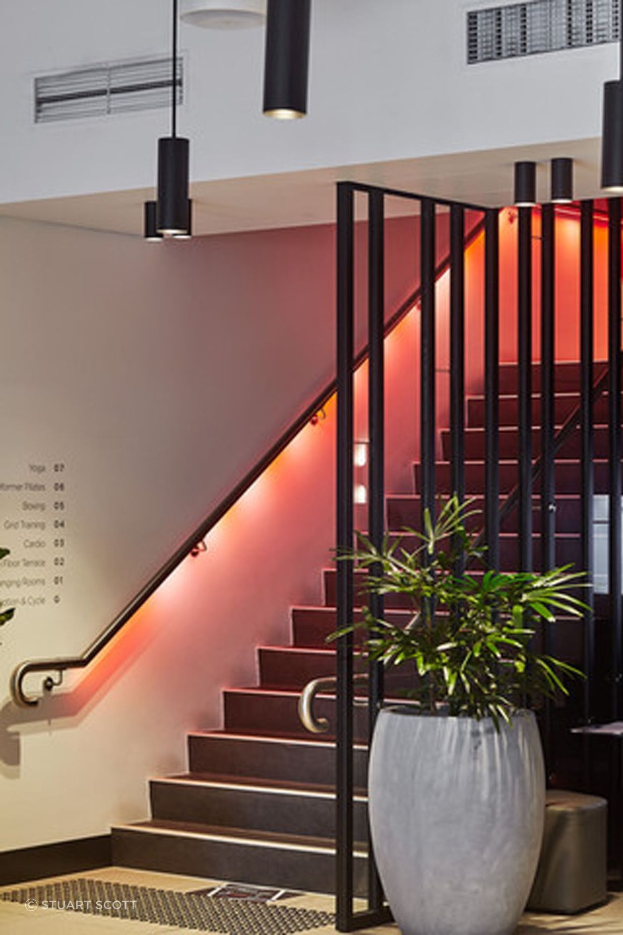 Virgin Active: Bondi by Quattro Architecture | ArchiPro AU